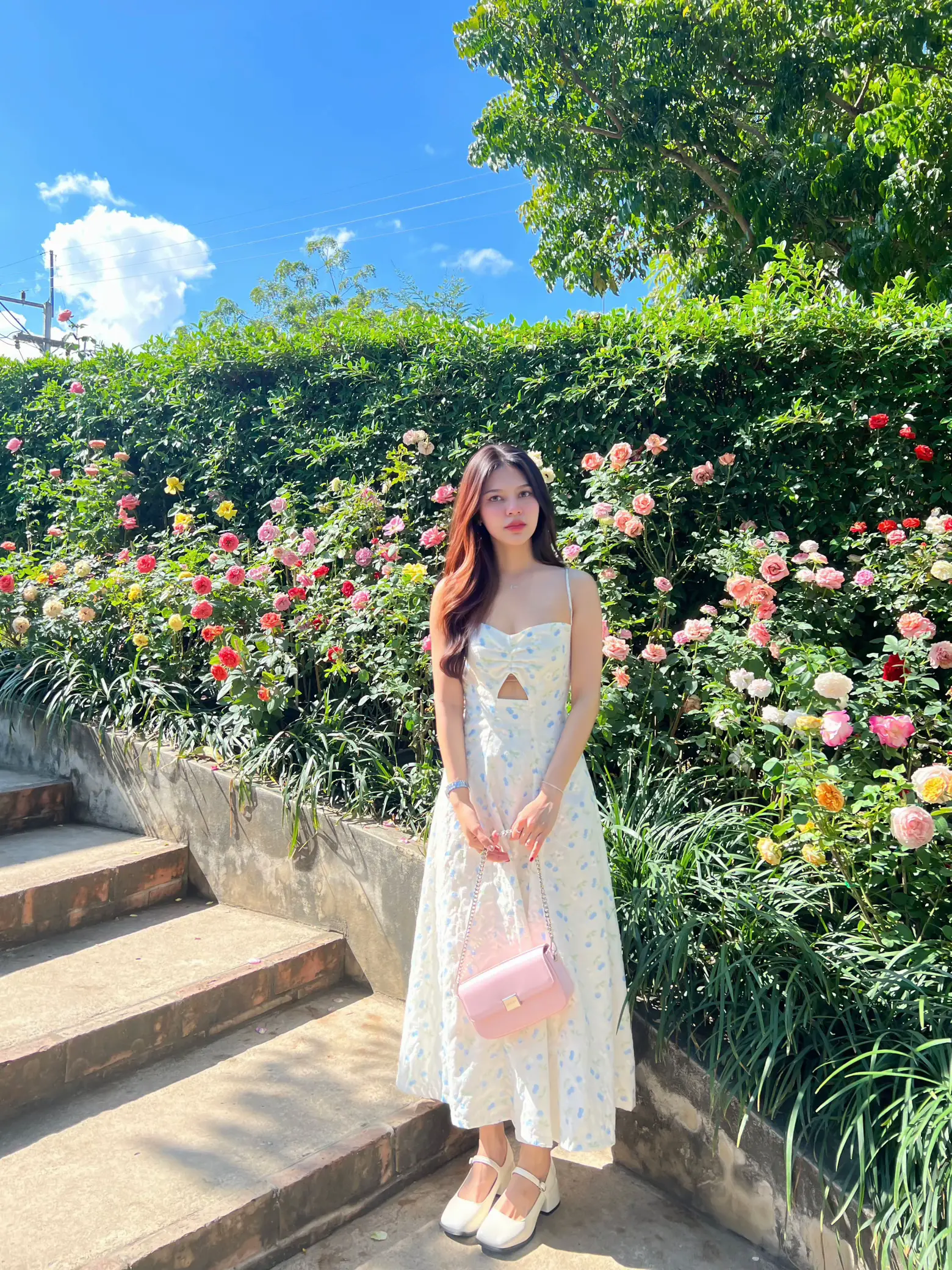 คาเฟ่ดอกไม้เชียงใหม่ 🌷💐 | แกลเลอรีที่โพสต์โดย Iseve.e | Lemon8