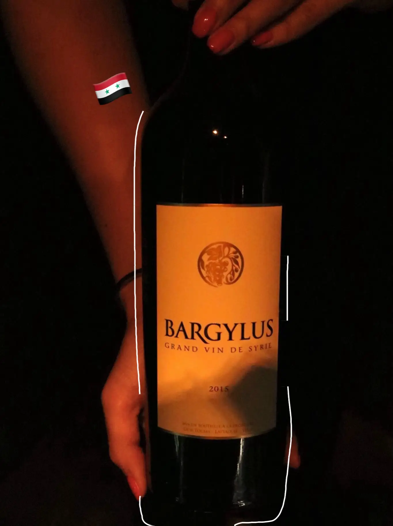 Red Wine Syria🍷 | แกลเลอรีที่โพสต์โดย Lapin | Lemon8