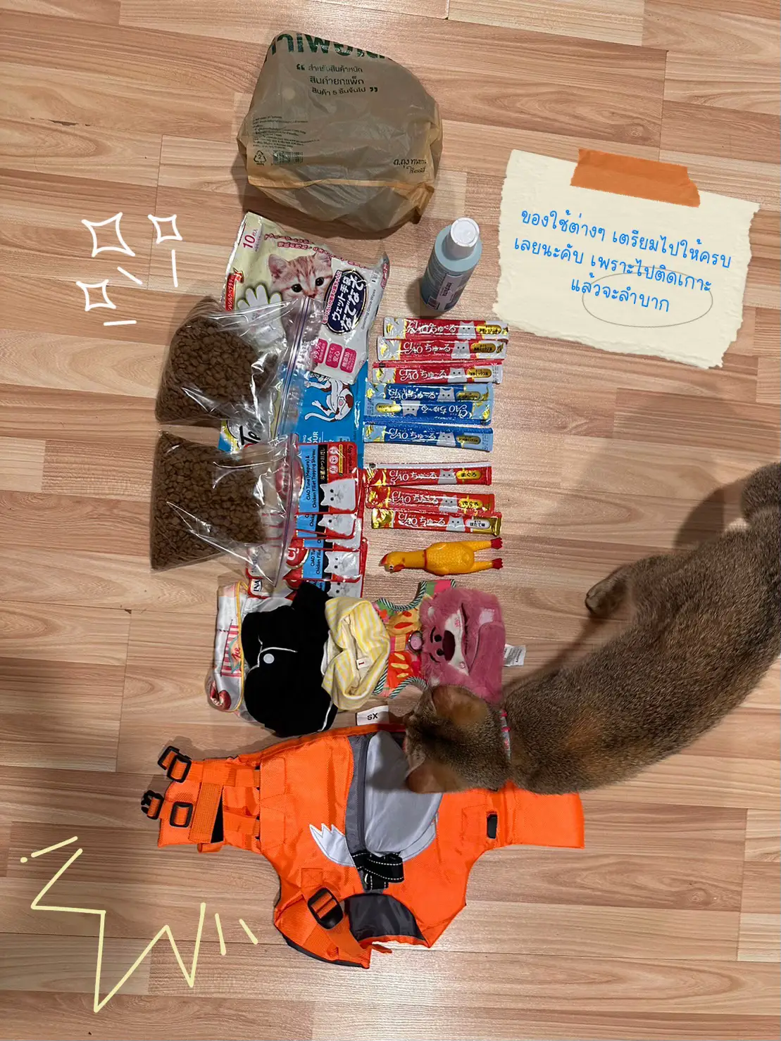 พาแมวเที่ยวเกาะกูด กับประสบการณ์ที่ไม่มีวันลืม💗 | แกลเลอรีที่โพสต์โดย Baba & Dad | Lemon8