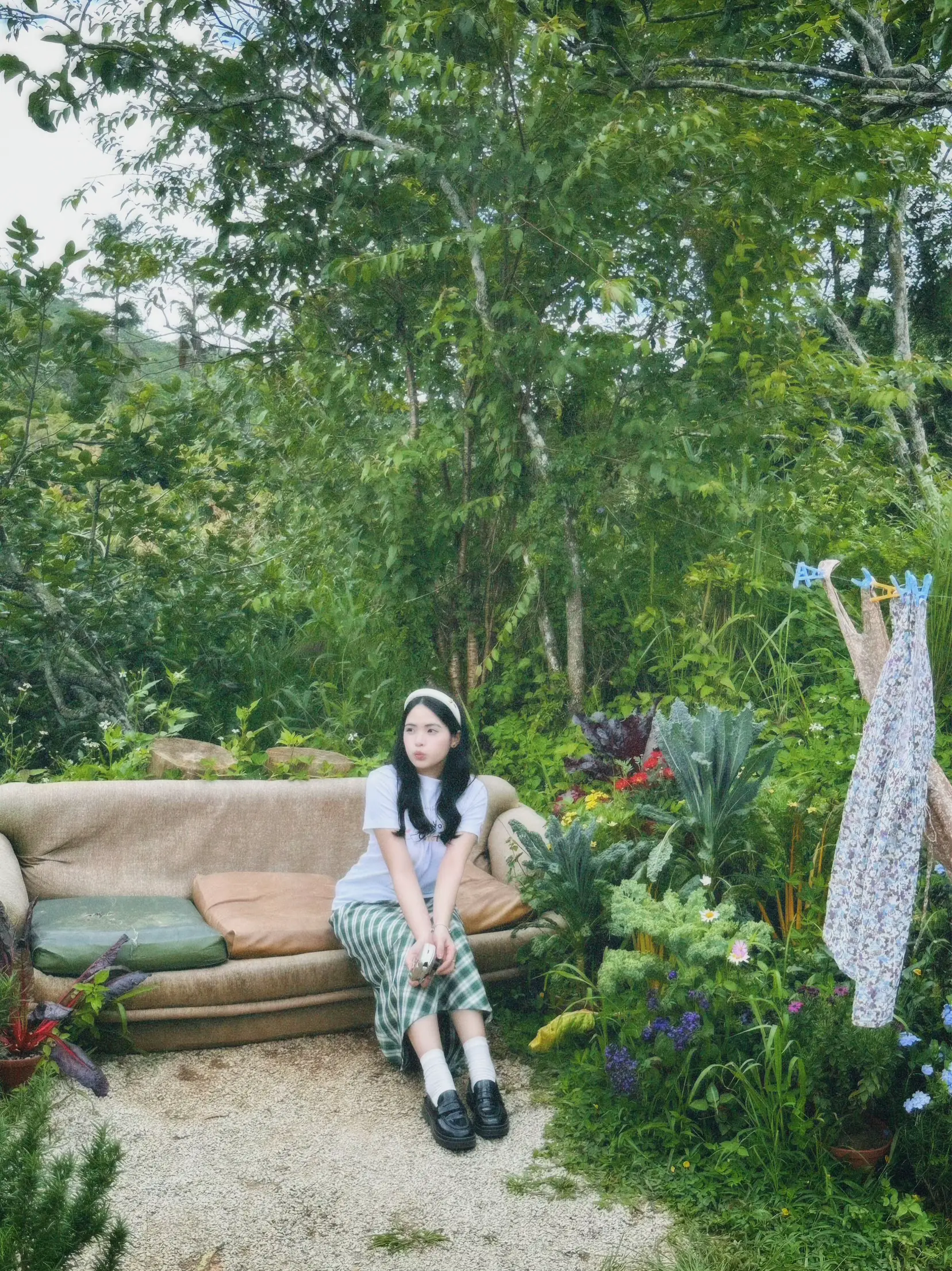 Cây 🍊ngọt của tôi | Bộ sưu tập do Ginger đăng | Lemon8