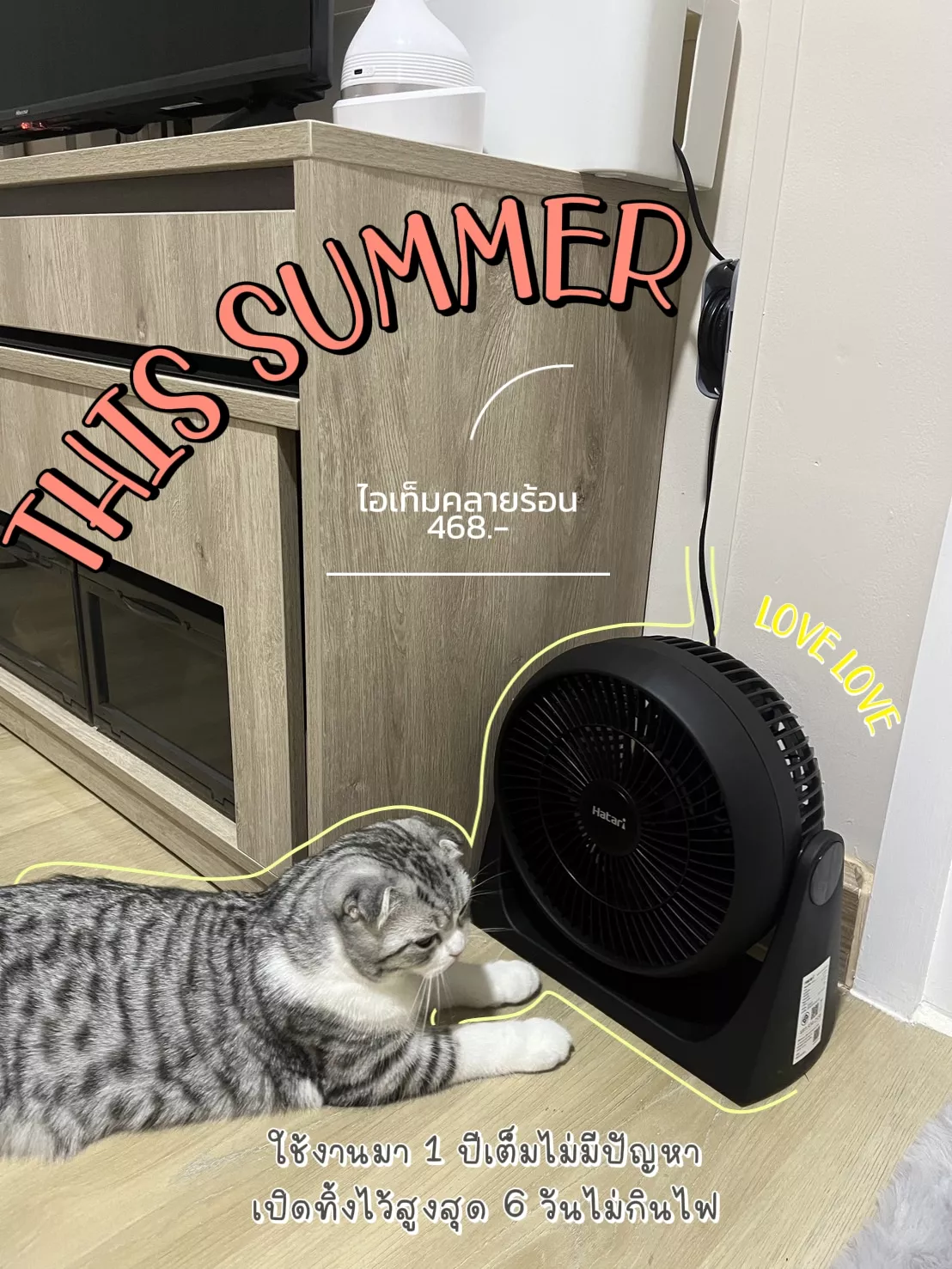 item สำหรับแมวที่คุณรัก | แกลเลอรีที่โพสต์โดย jaaaa | Lemon8