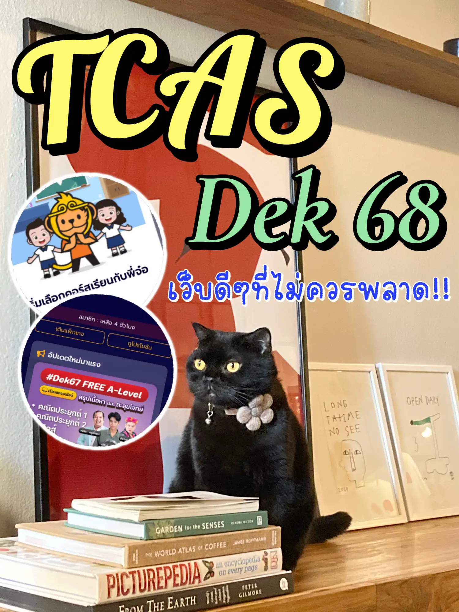 TCAS Dek 68 เว็บดีๆที่ไม่ควรพลาดด | แกลเลอรีที่โพสต์โดย A_learning | Lemon8