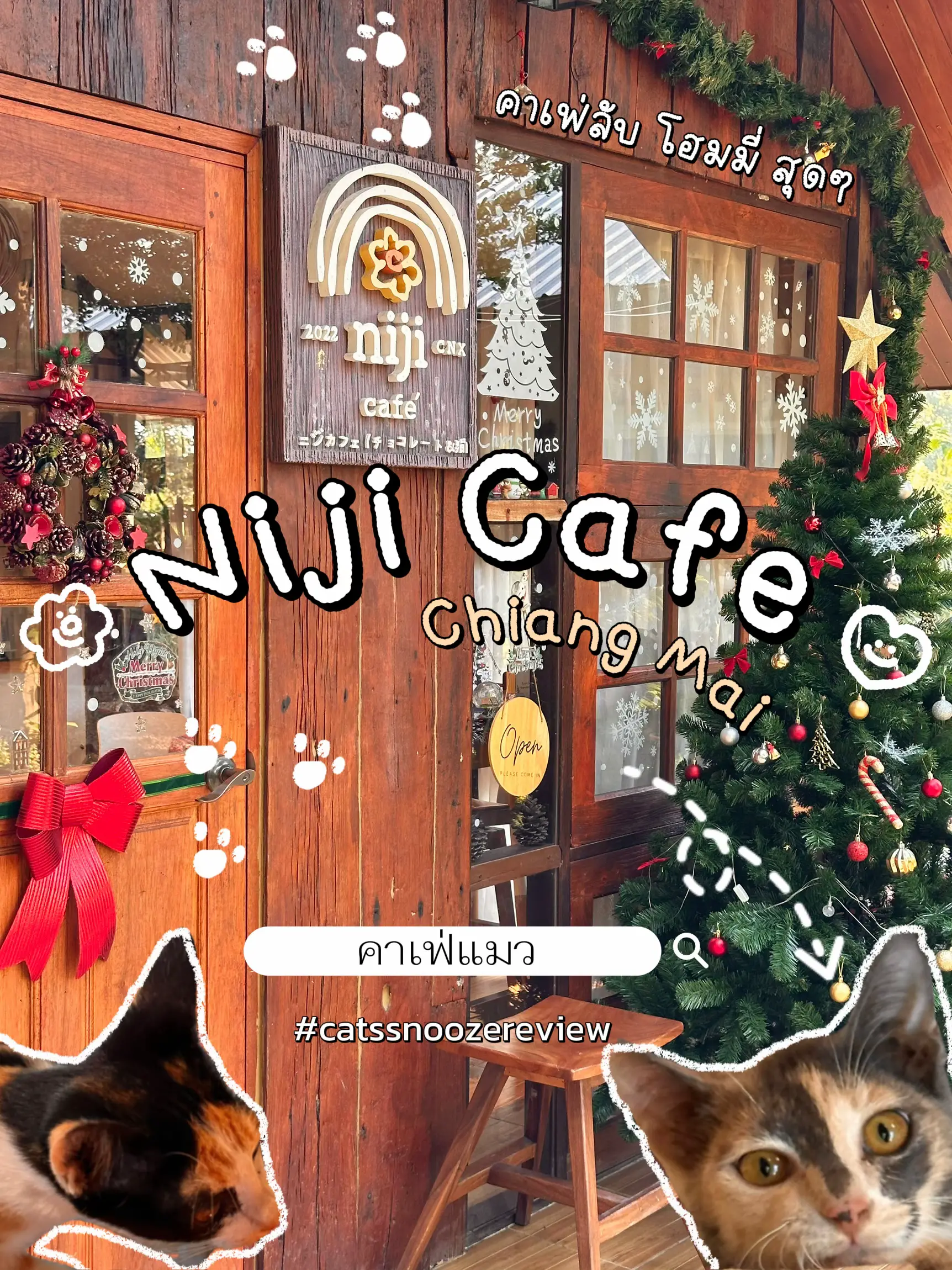 Niji Cafe คาเฟ่น้องแมวญี่ปุ่นๆโฮมมี่ 🐈☕️ | แกลเลอรีที่โพสต์โดย 🐈Cats Snooze🎀 | Lemon8