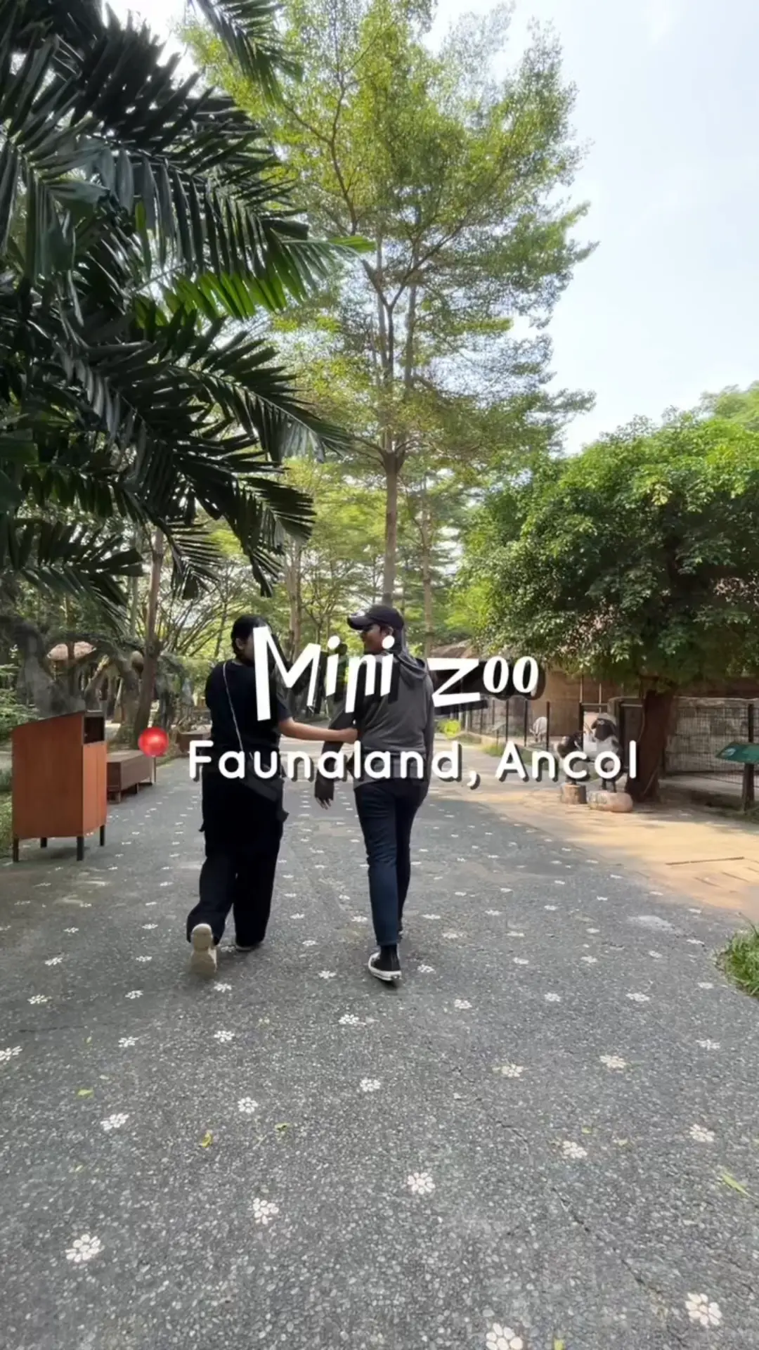 Zoo Date Faunaland Ancol | Video dipublikasikan oleh Audityra | Lemon8