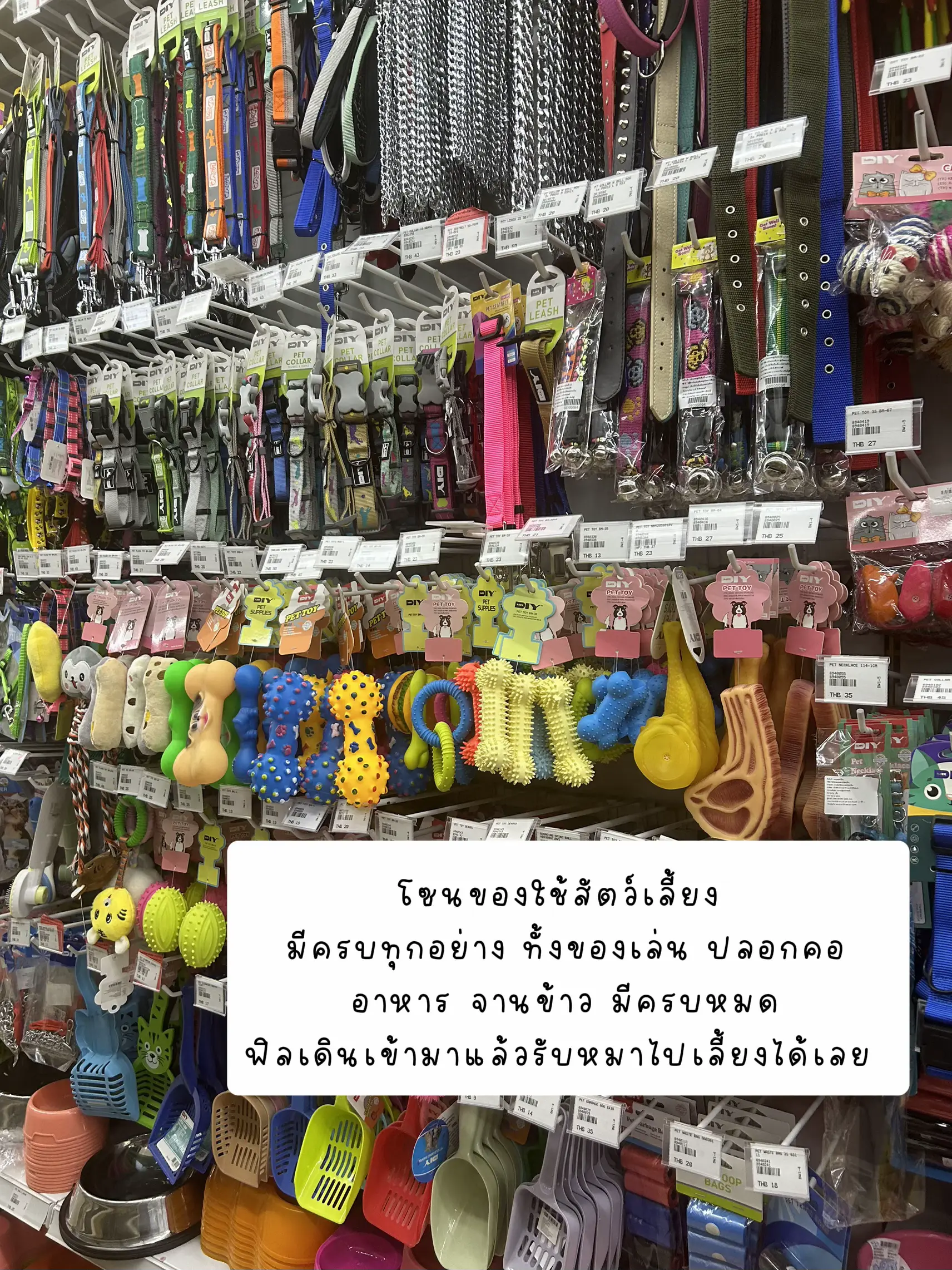 ส่องร้าน MR.D.I.Y. 🍋 | แกลเลอรีที่โพสต์โดย CREAMPUN | Lemon8