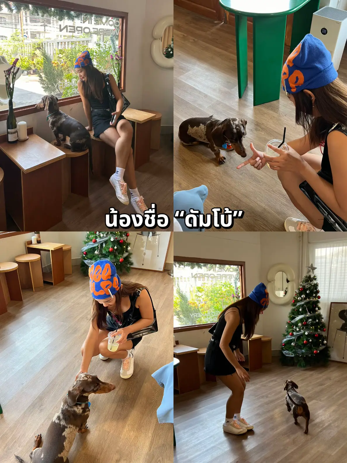 คาเฟ่น้องหมาดัชชุน 🐶 | SUMM Coffee & Studio ☘️ | แกลเลอรีที่โพสต์โดย isfaai | Lemon8