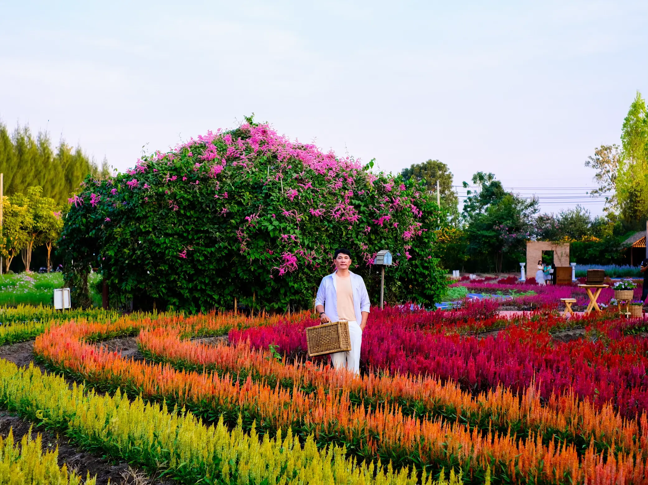 𝑩𝑨𝑨𝑵 𝑹𝑨𝑰 𝑵𝑨𝑰 𝑹𝑼𝑵𝑮 𝑺𝑬𝑨𝑺𝑶𝑵 𝟖 💐𝒦𝒶𝓃𝒸𝒽𝒶𝓃𝒶𝒷𝓊𝓇𝒾 ,𝒯𝒽𝒶𝒾𝓁𝒶𝓃𝒹 | แกลเลอรีที่โพสต์ ...