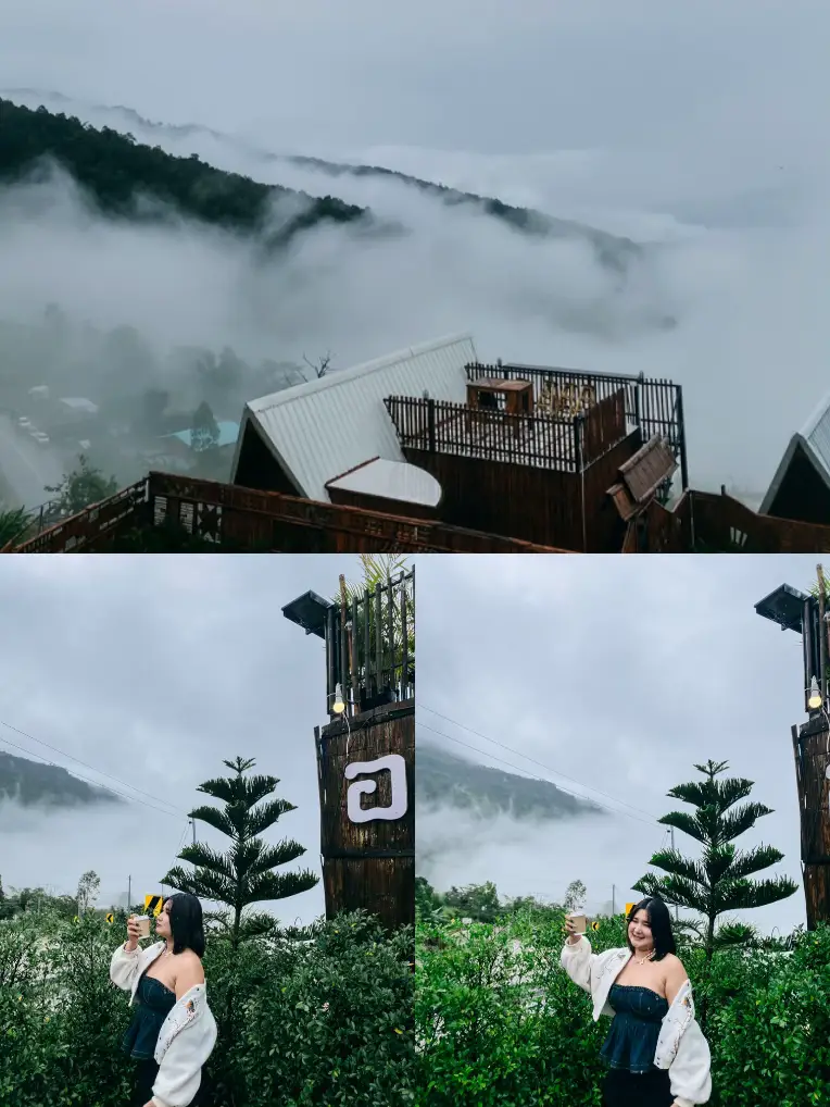 ภูหมอกแก้ว | แกลเลอรีที่โพสต์โดย Ubonwan Pimson | Lemon8