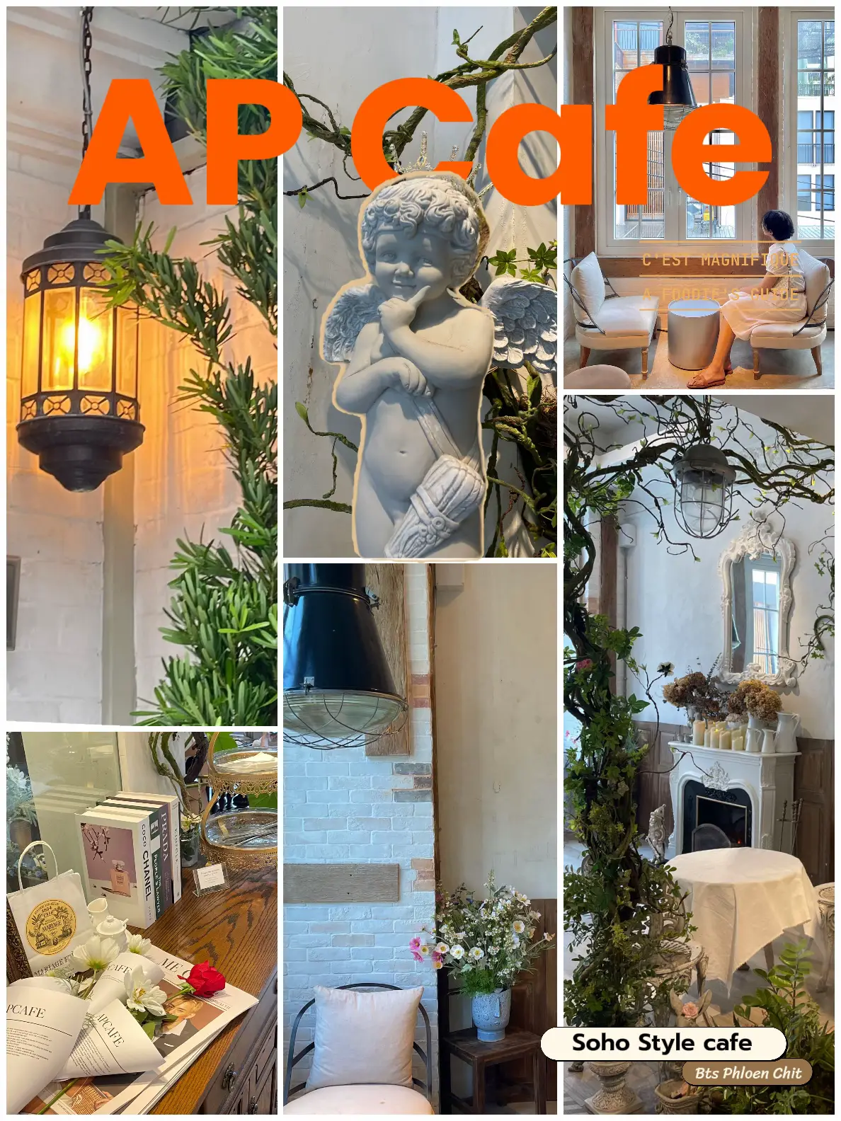 AP Cafe | Gallery posted by Babysharklunar | Lemon8