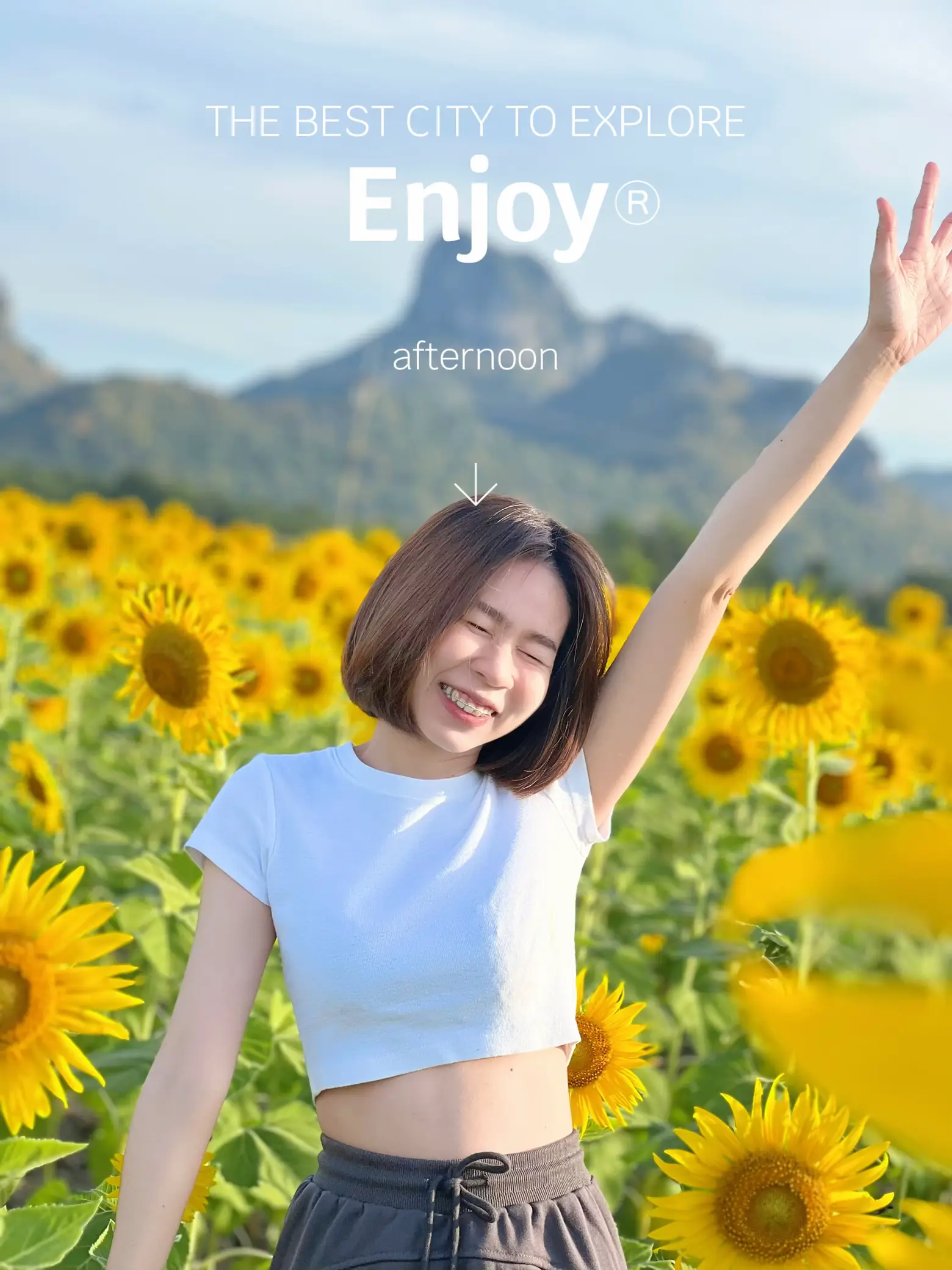 ทุ่งทานตะวันลพบุรี | แกลเลอรีที่โพสต์โดย Lada_🤍 | Lemon8