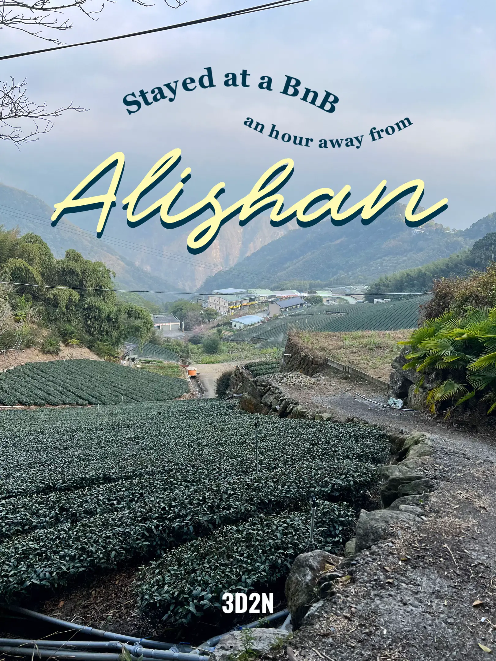 🏠We stayed at a BnB an hour away from Alishan | แกลเลอรีที่โพสต์โดย Seri | Lemon8