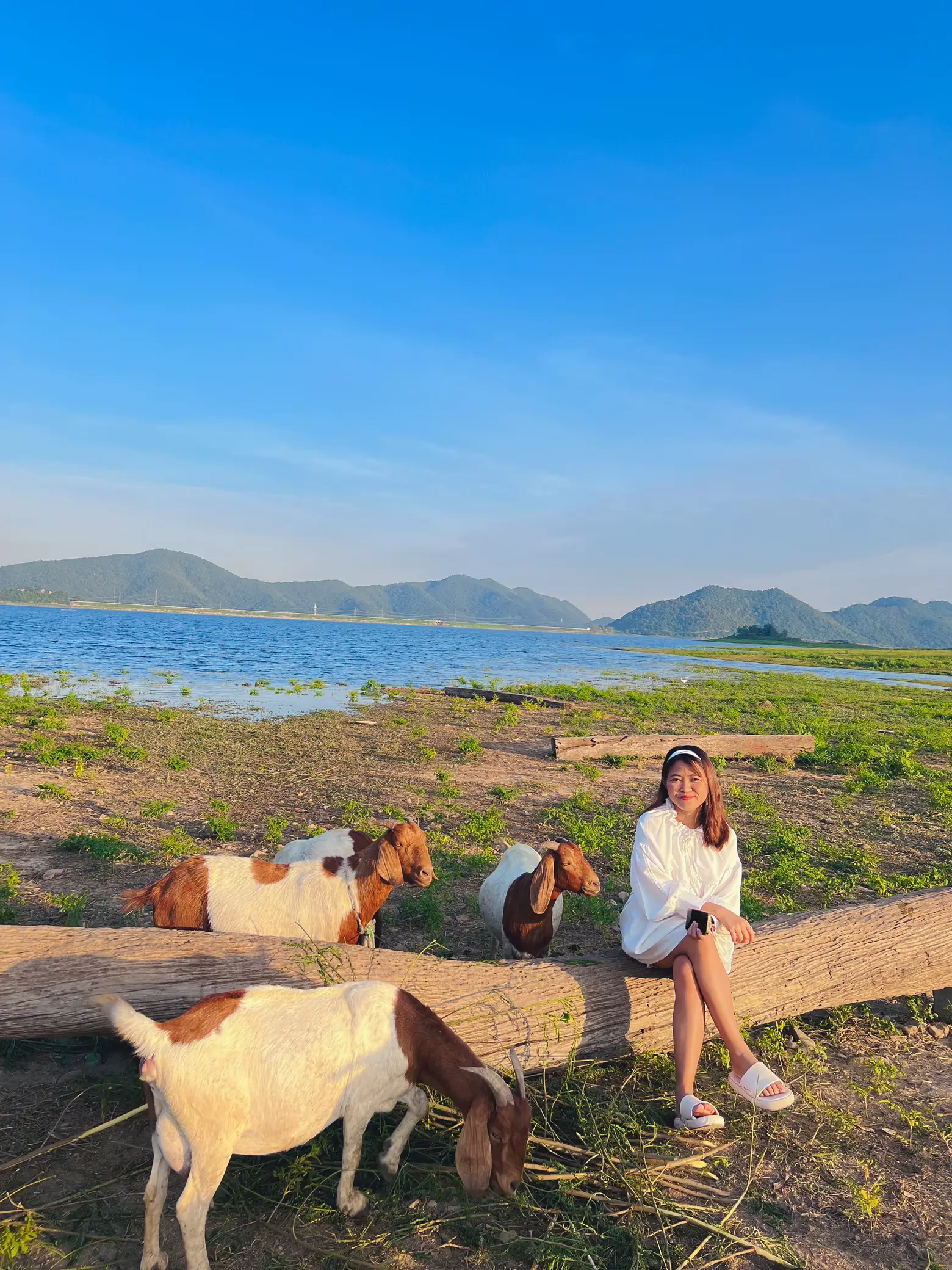 ถ่ายรูปกับน้องแพะที่เขื่อนปราณบุรี | แกลเลอรีที่โพสต์โดย Reerun_WS | Lemon8