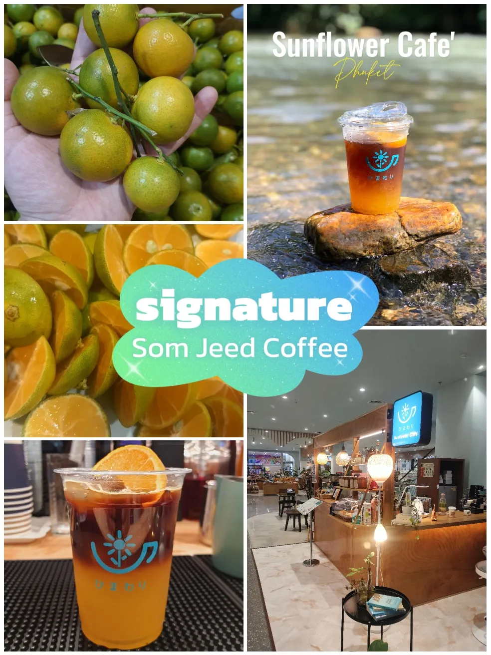 Sunflower Cafe' Phuket signature | แกลเลอรีที่โพสต์โดย YokP | Lemon8