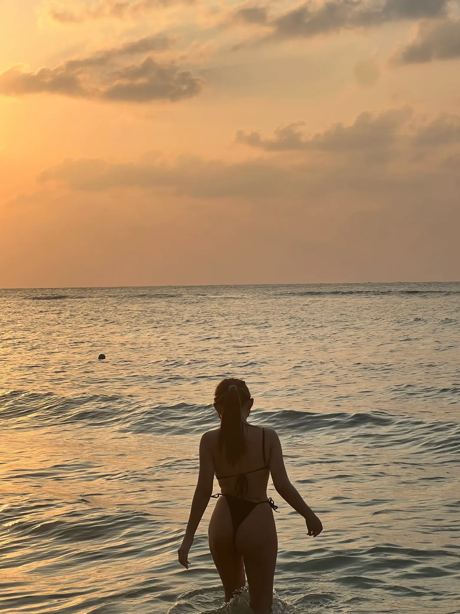 golden hour aesthetic wallpaper - การค้นหาใน Lemon8