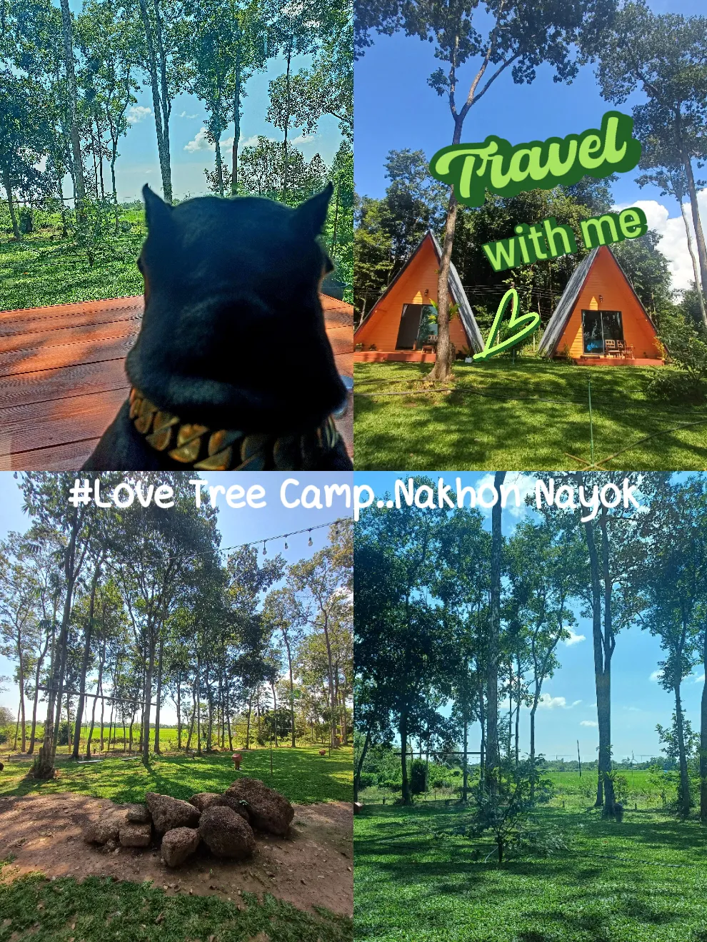 #Love Tree Camp..Nakhon Nayok | แกลเลอรีที่โพสต์โดย JARU&Bruno | Lemon8