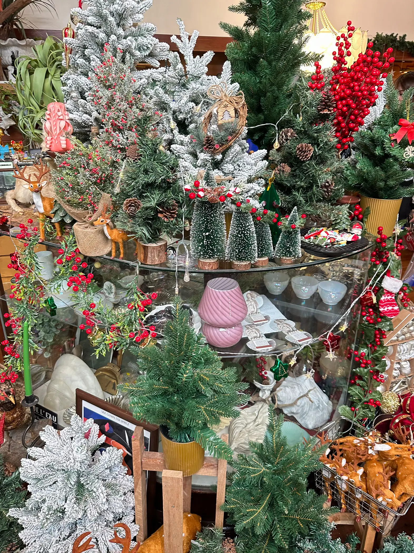Blue Wild Space แหล่งรวมไอเทม Decor Christmas 🎄 แกลเลอรีที่โพสต์โดย