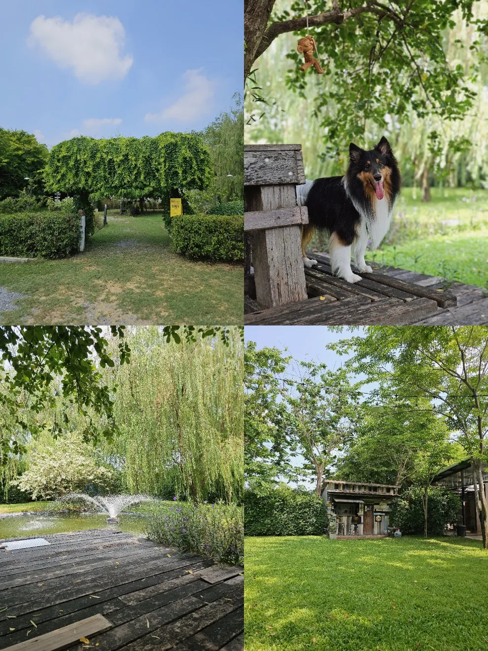 ONE CC. Cafe&Craft beer 🍻 | แกลเลอรีที่โพสต์โดย aster.corgi | Lemon8