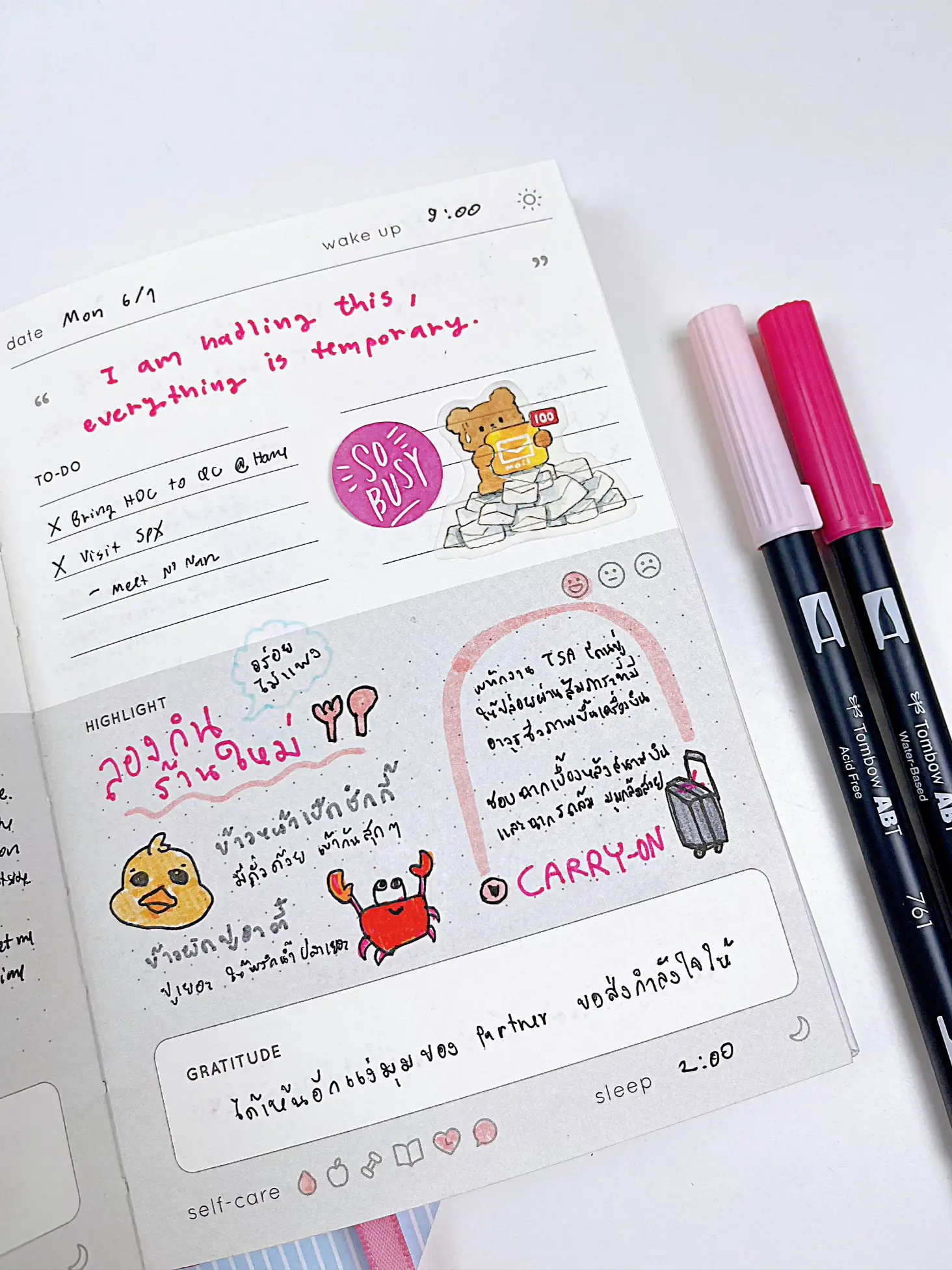 ไอเดียจดสนุก รับปีใหม่ 🥇 | แกลเลอรีที่โพสต์โดย Mimi’s Plan | Lemon8