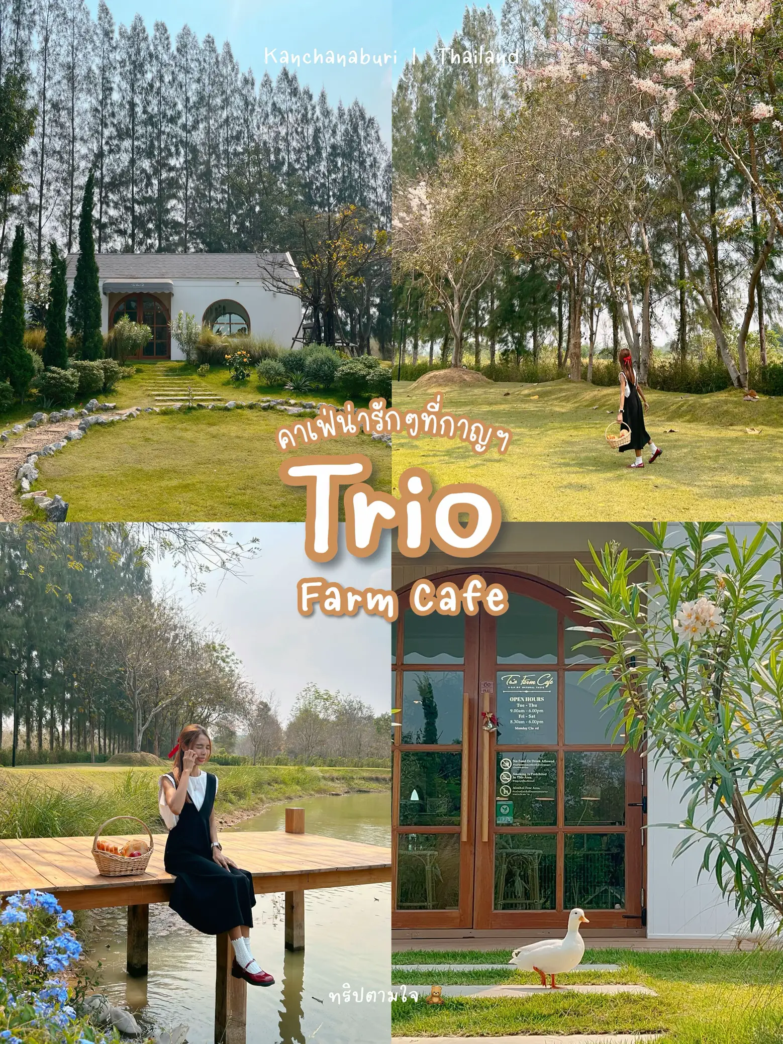 🧺🥖คาเฟ่น่ารักๆที่กาญฯ มุมถ่ายรูปน่ารักมาก🌿🪿 | แกลเลอรีที่โพสต์โดย ...