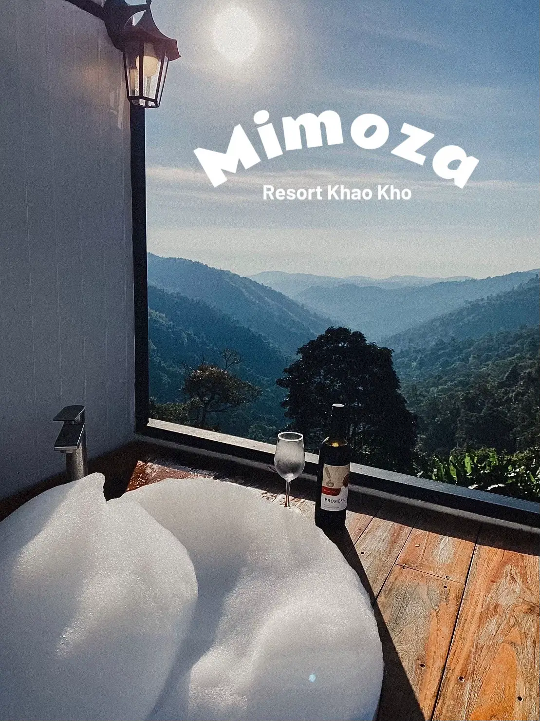 Mimoza | แกลเลอรีที่โพสต์โดย IReef Sriwirote | Lemon8