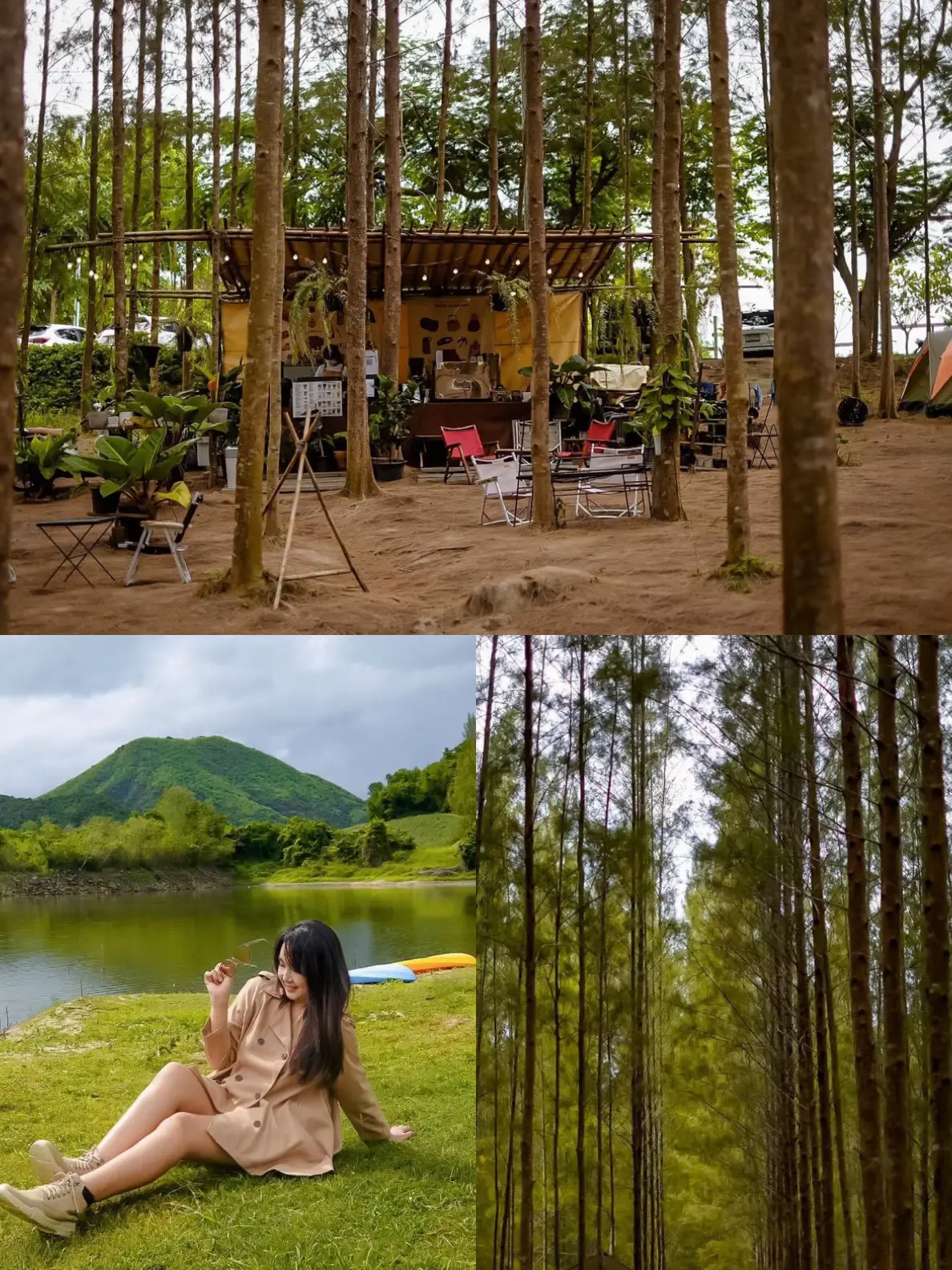 จังหวัดในประเทศไทย | แกลเลอรีที่โพสต์โดย Piya Ki | Lemon8