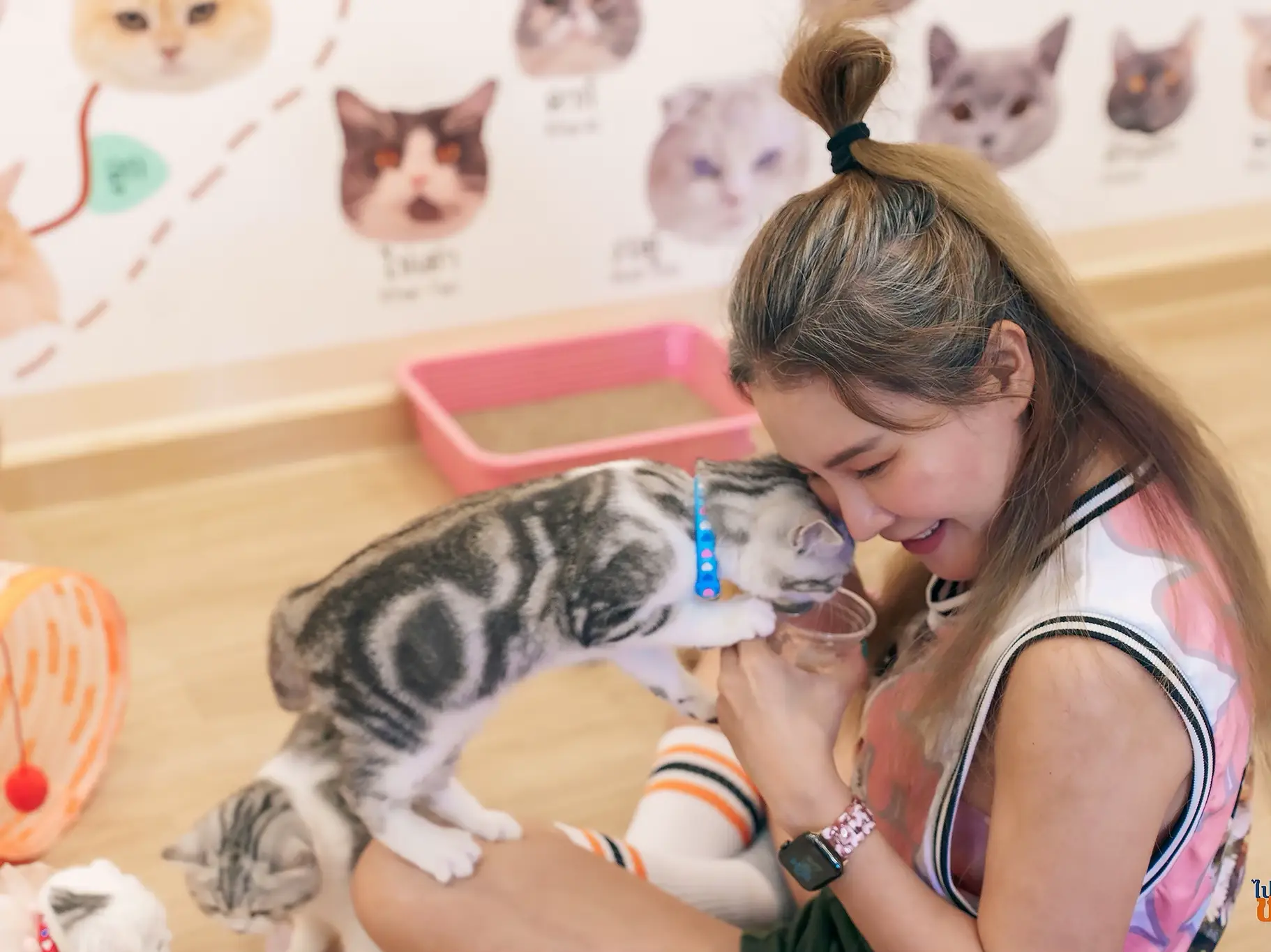 Chill Cat Cafe….สวรรค์ของคนรักแมว😻😻😻 | แกลเลอรีที่โพสต์โดย Jennie ...
