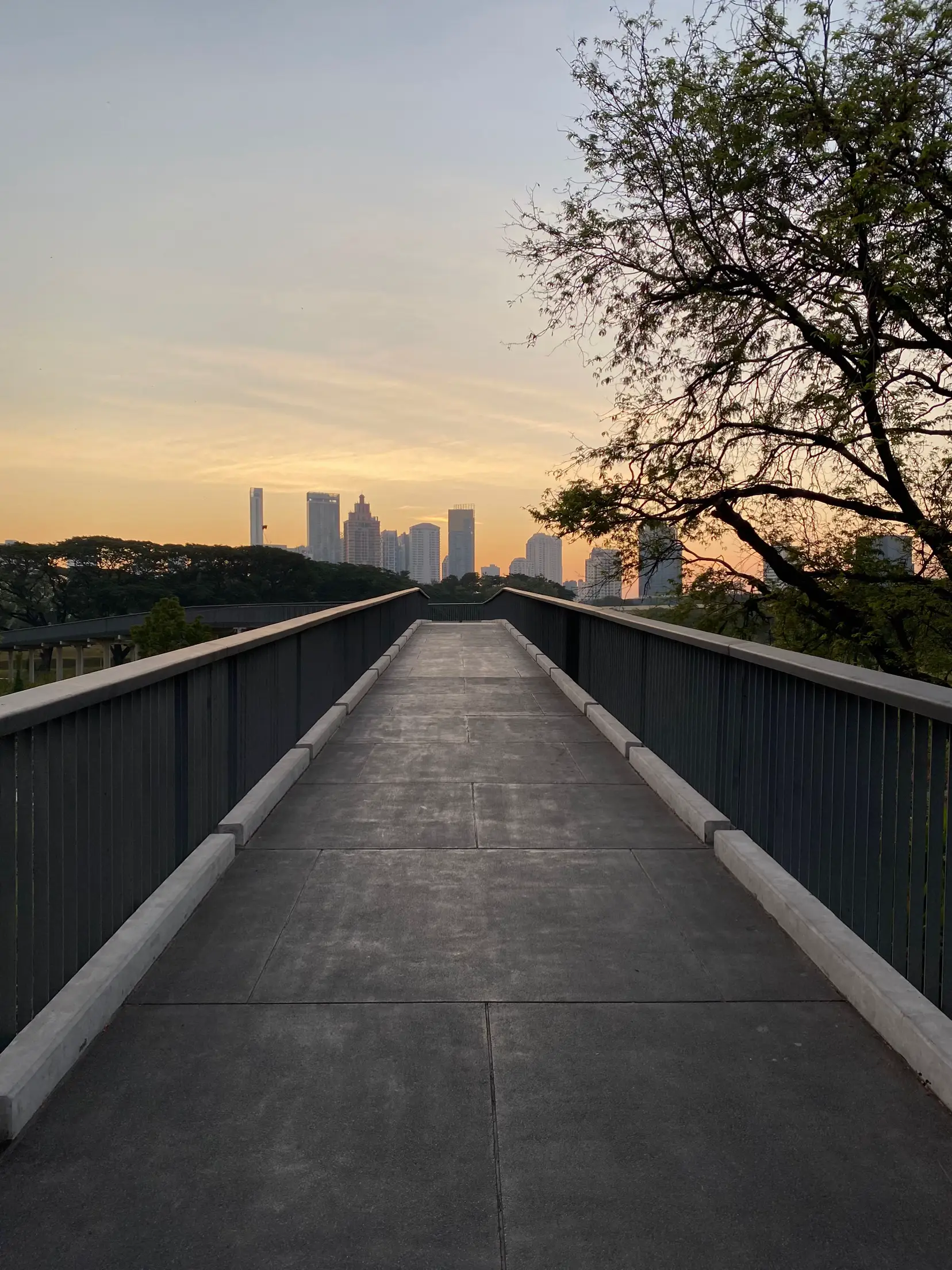 พาไปวิ่งสวนป่าเบญจกิติตอนเช้า | แกลเลอรีที่โพสต์โดย Herqles | Lemon8