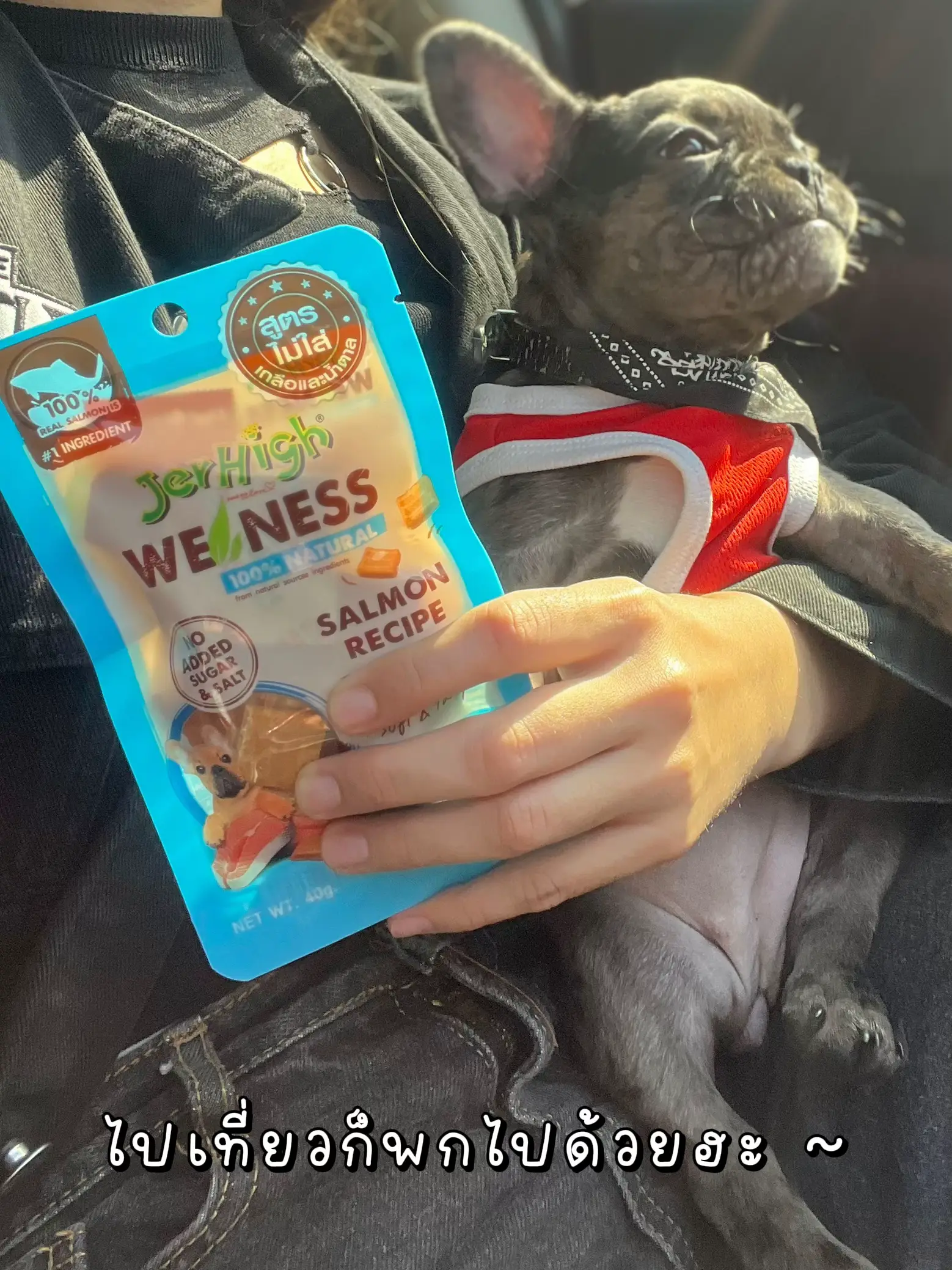 💖🫶🏻ขนมสุขภาพน้องหมา 🐶 รสแซลมอน 100% natural 🍃 | แกลเลอรีที่โพสต์โดย บี ...