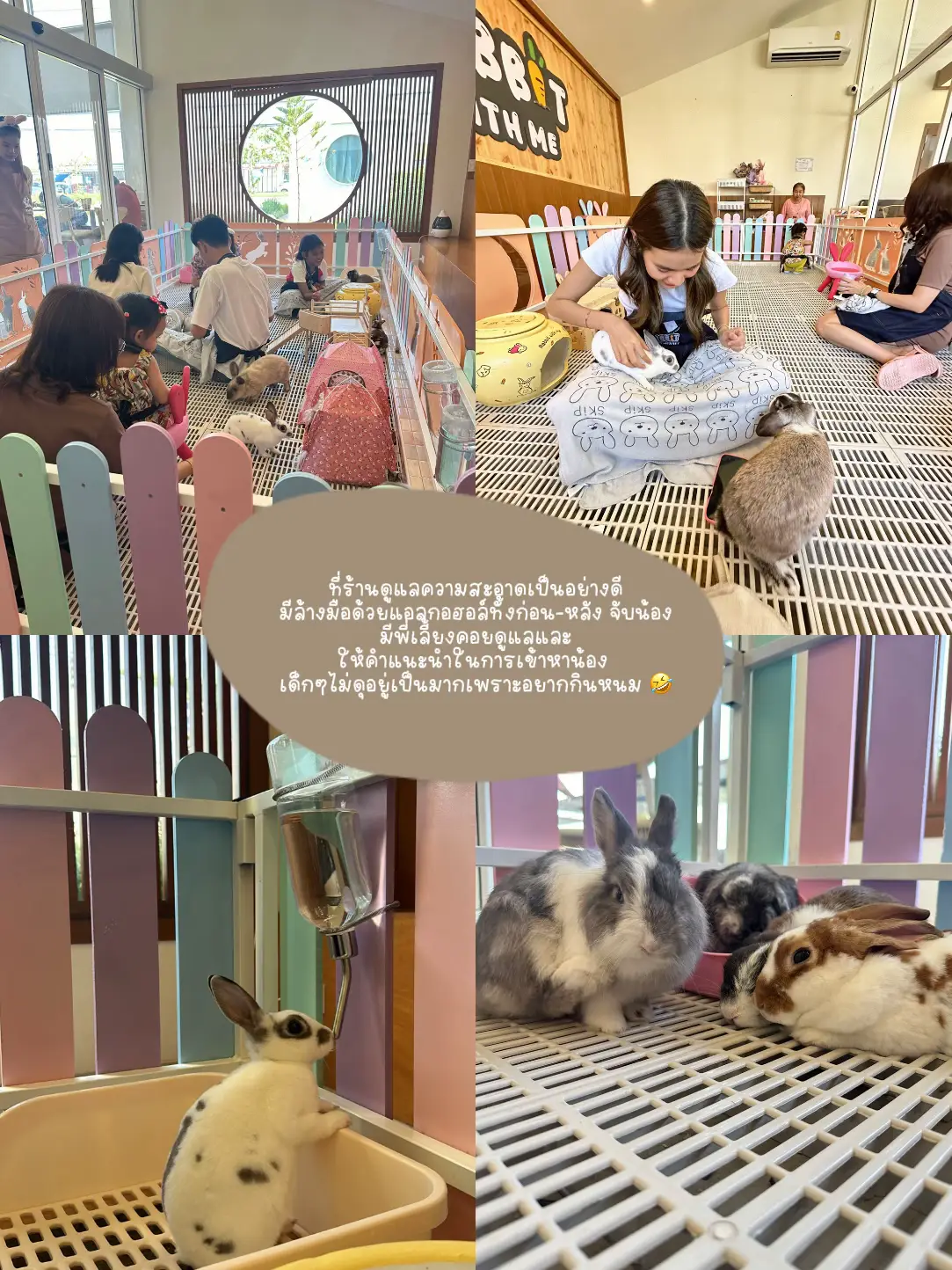 Rabbit With Me Cafe คาเฟ่กระต่ายเปิดใหม่บางแสน 🐰 | Galeri disiarkan ...