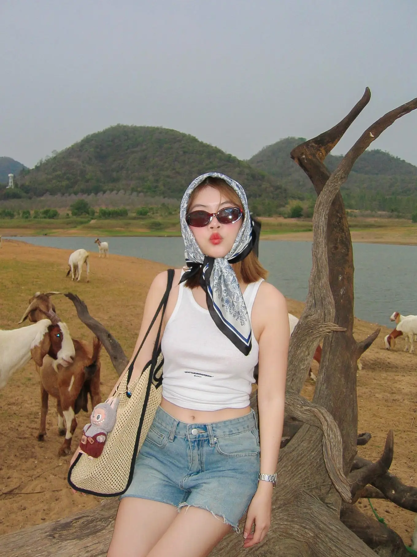 ฟาร์มแพะที่เขื่อนปราณบุรี🐐🌾 | แกลเลอรีที่โพสต์โดย SuperCat | Lemon8