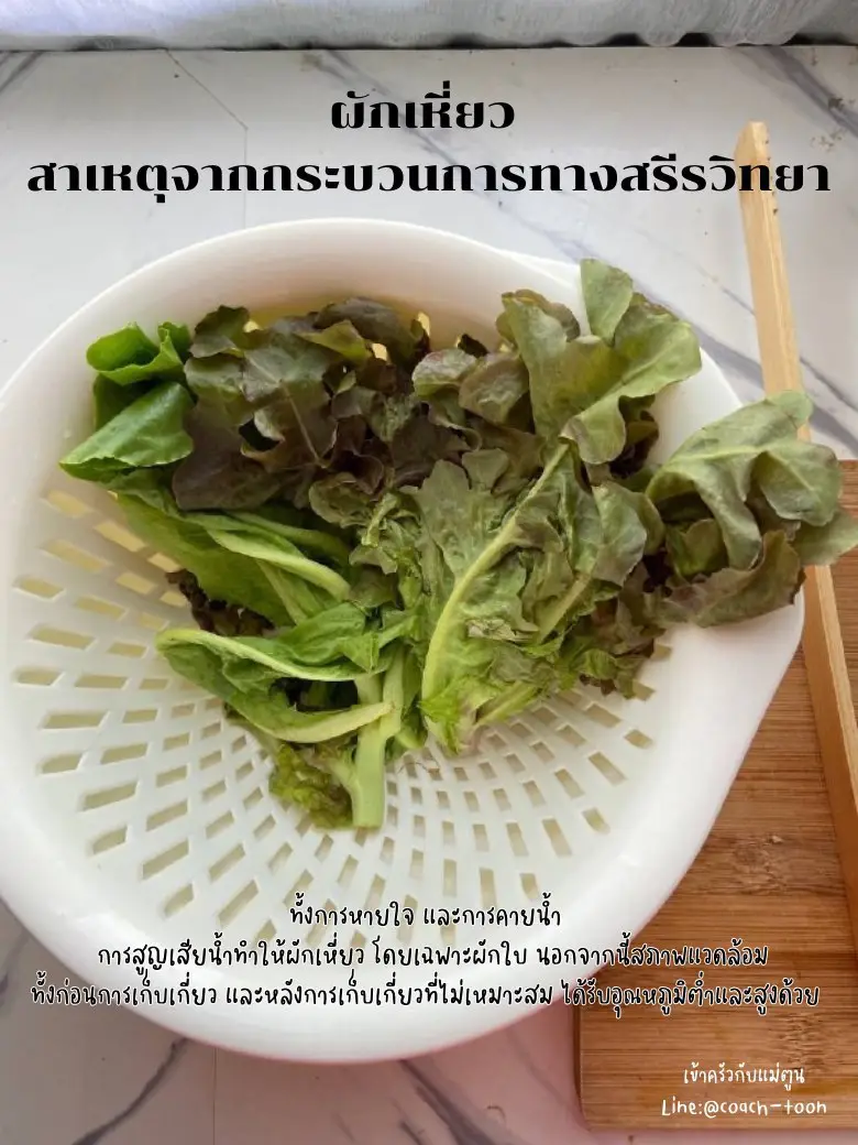 🥬”คืนชีพผักเหี่ยว“ ให้กลับมาสดอีกครั้ง | แกลเลอรีที่โพสต์โดย แม่ตูน ...