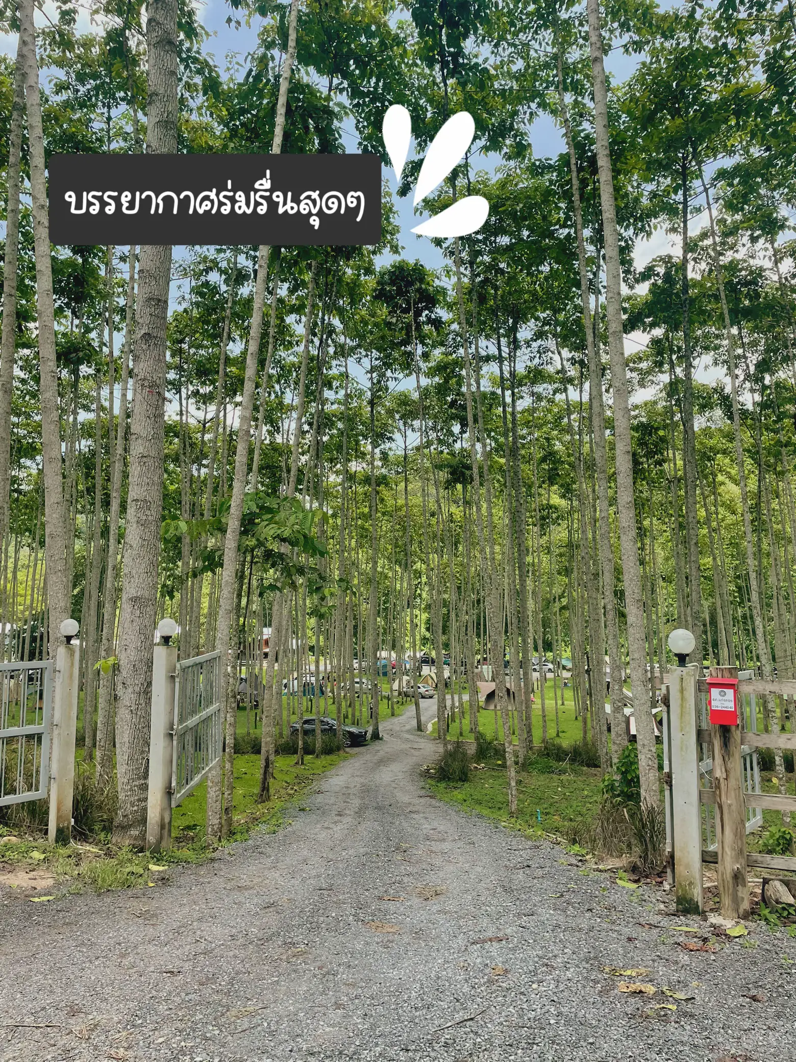 Na-wana ณ วนา | Gallery posted by Panchanok | Lemon8