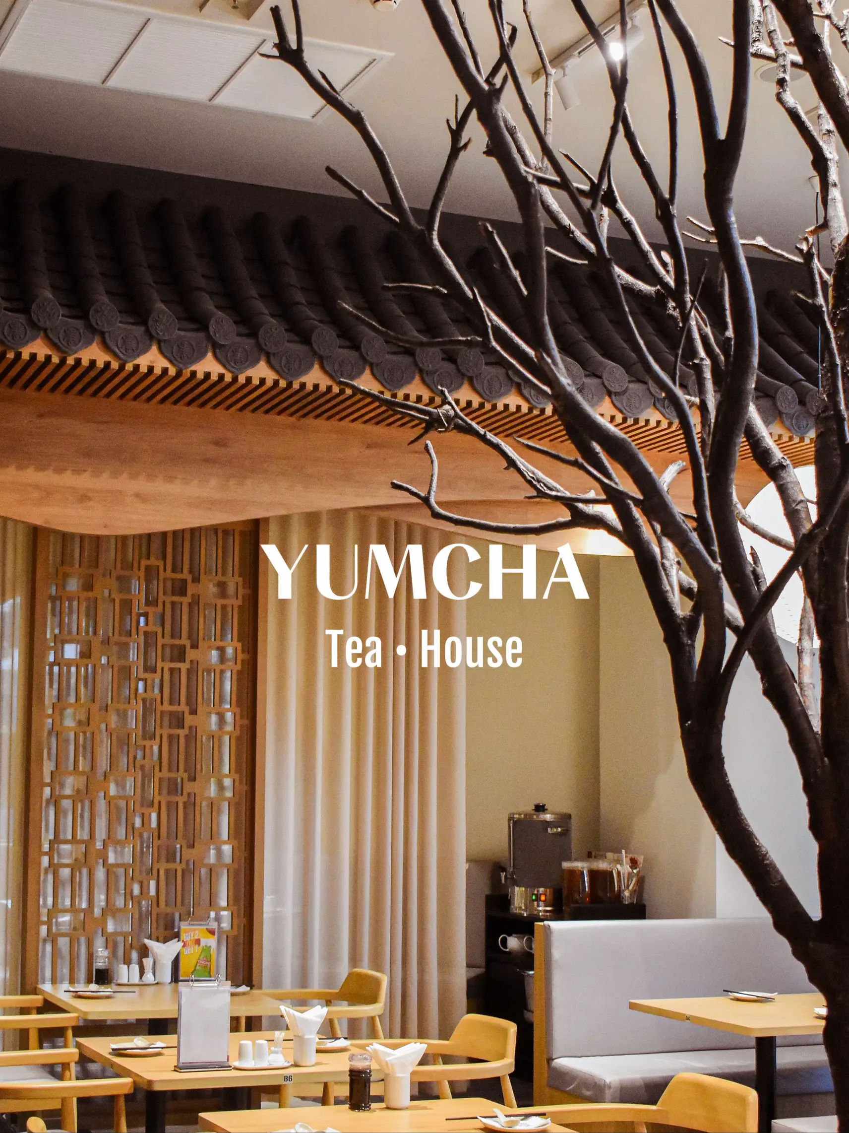 Yumcha Teahouse ร้านติ่มซำที่อยู่กลางเมือง ติดรถไฟฟ้า | แกลเลอรีที่โพสต์โดย NAPATSANAN.B | Lemon8
