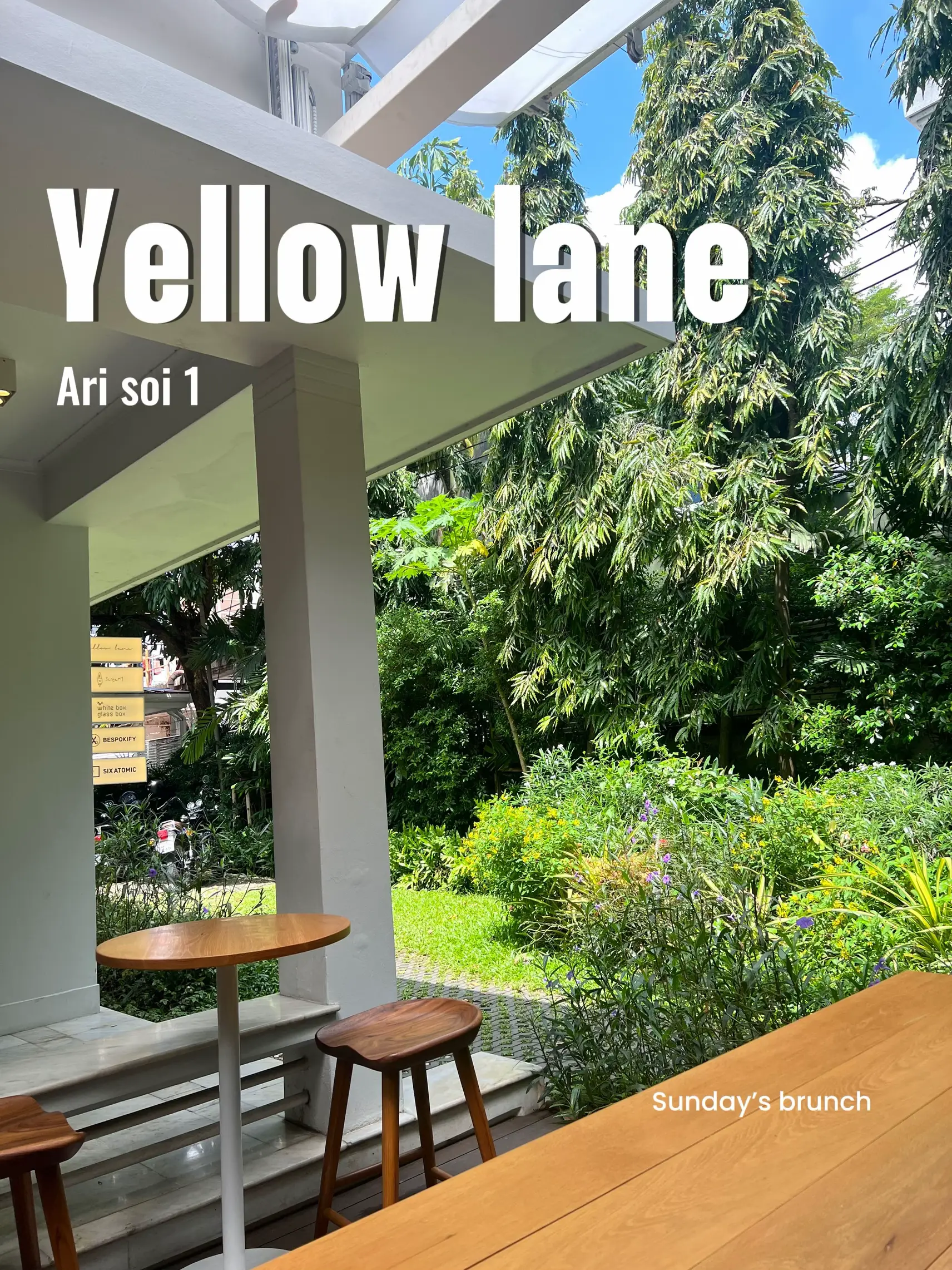 Yellow lane ari 🥓🍳🌳 | แกลเลอรีที่โพสต์โดย gam | Lemon8