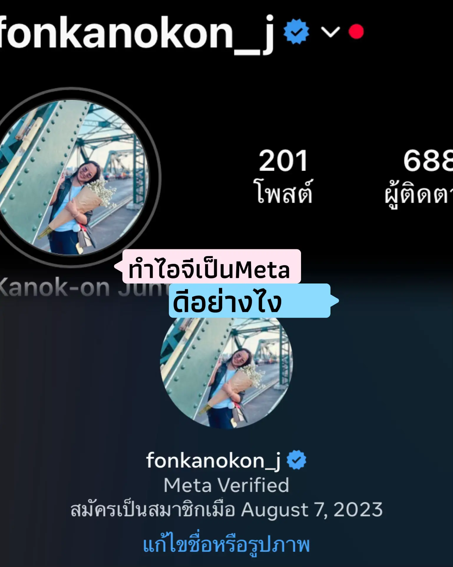 เปลี่ยน IG ธรรมดา เป็น Meta ดีอย่างไง | แกลเลอรีที่โพสต์โดย Fonkanokon_j | Lemon8