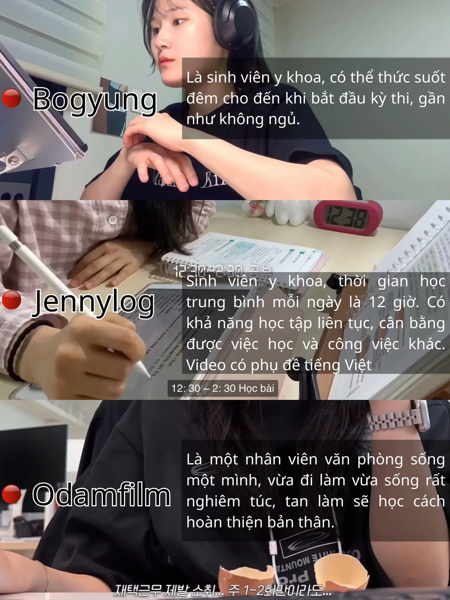 [Hanoi] Artemis Pastry - Bánh ngon nức nở | Bộ sưu tập do Nu Yang đăng | Lemon8