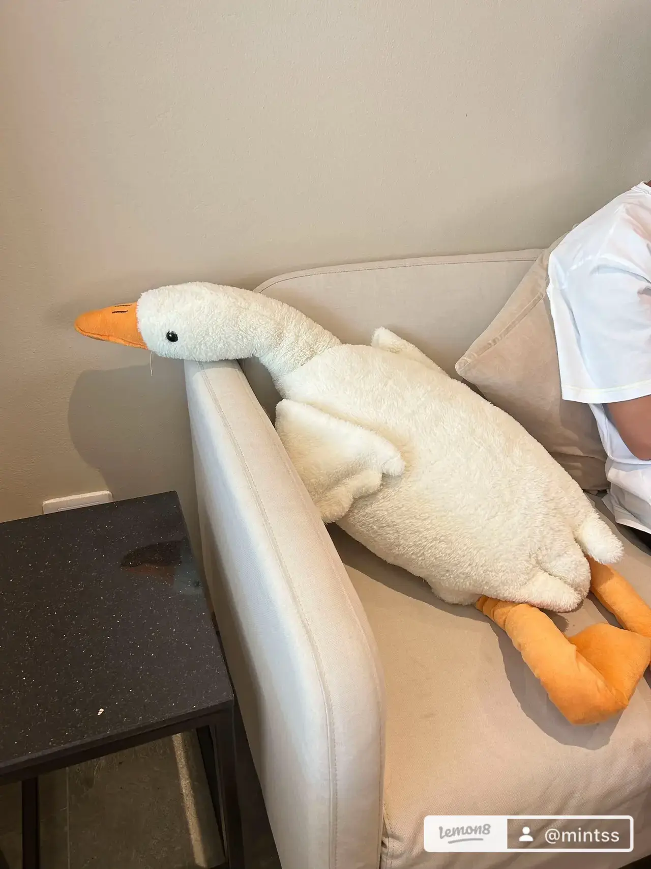 คาเฟ่เปิดใหม่สุดคริ้ว! Goosta Cafe☀️🪿 | แกลเลอรีที่โพสต์โดย Mintsrc ...