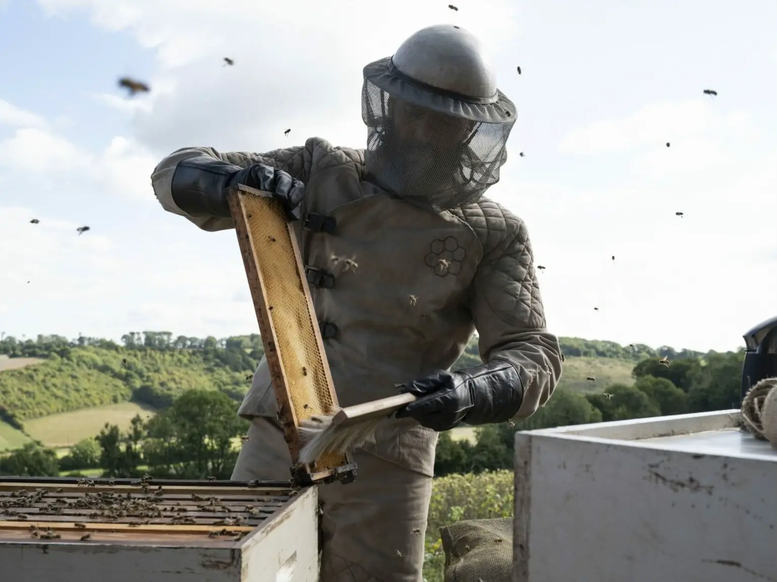 รีวิวหนัง The Beekeeper นรกเรียกพ่อ 🐝 | แกลเลอรีที่โพสต์โดย ห่มผ้าดู ...