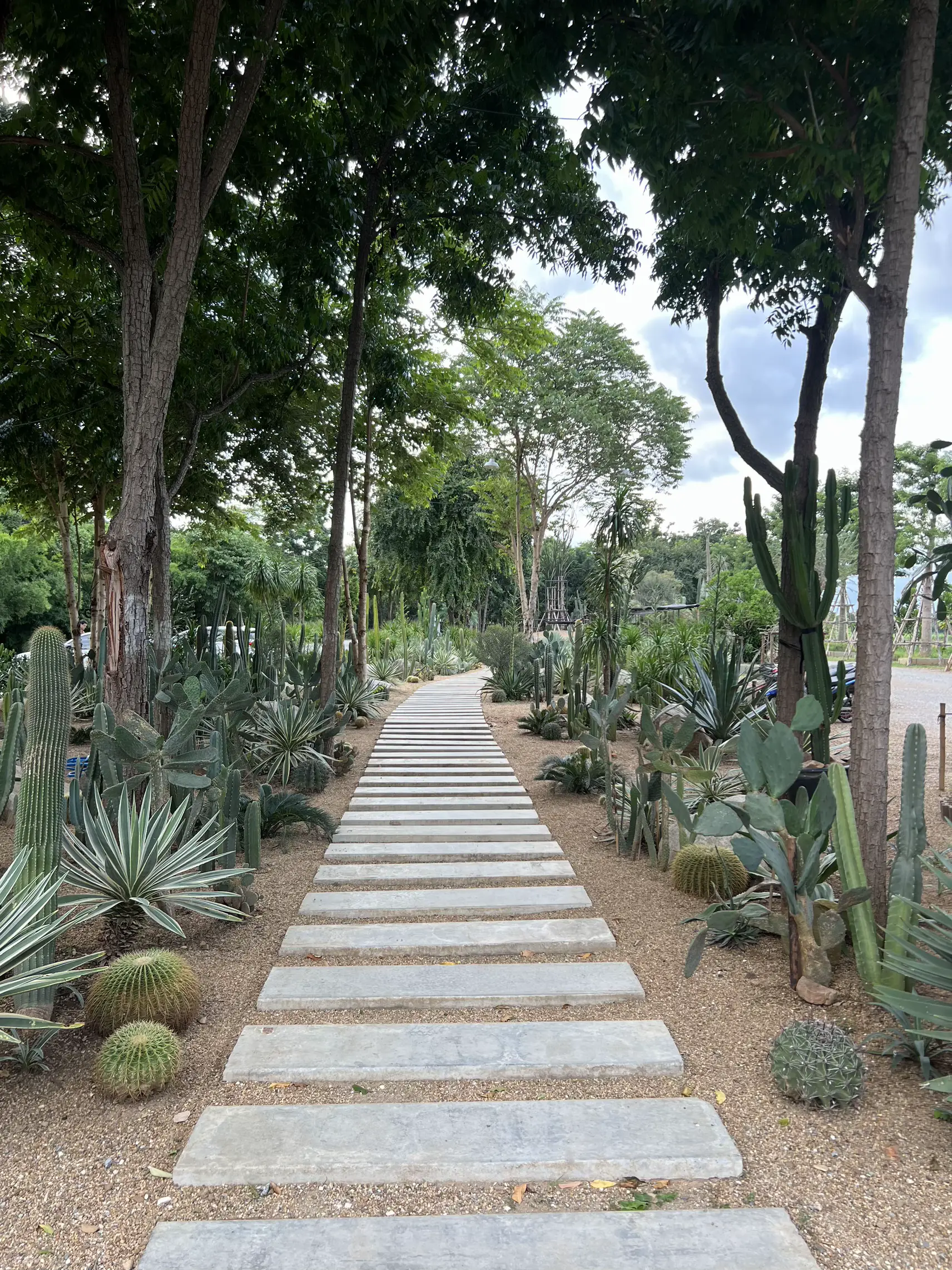 20 ไอเดียยอดนิยมเกี่ยวกับ เบียร์ Budweiser 7-11 ในปี 2024