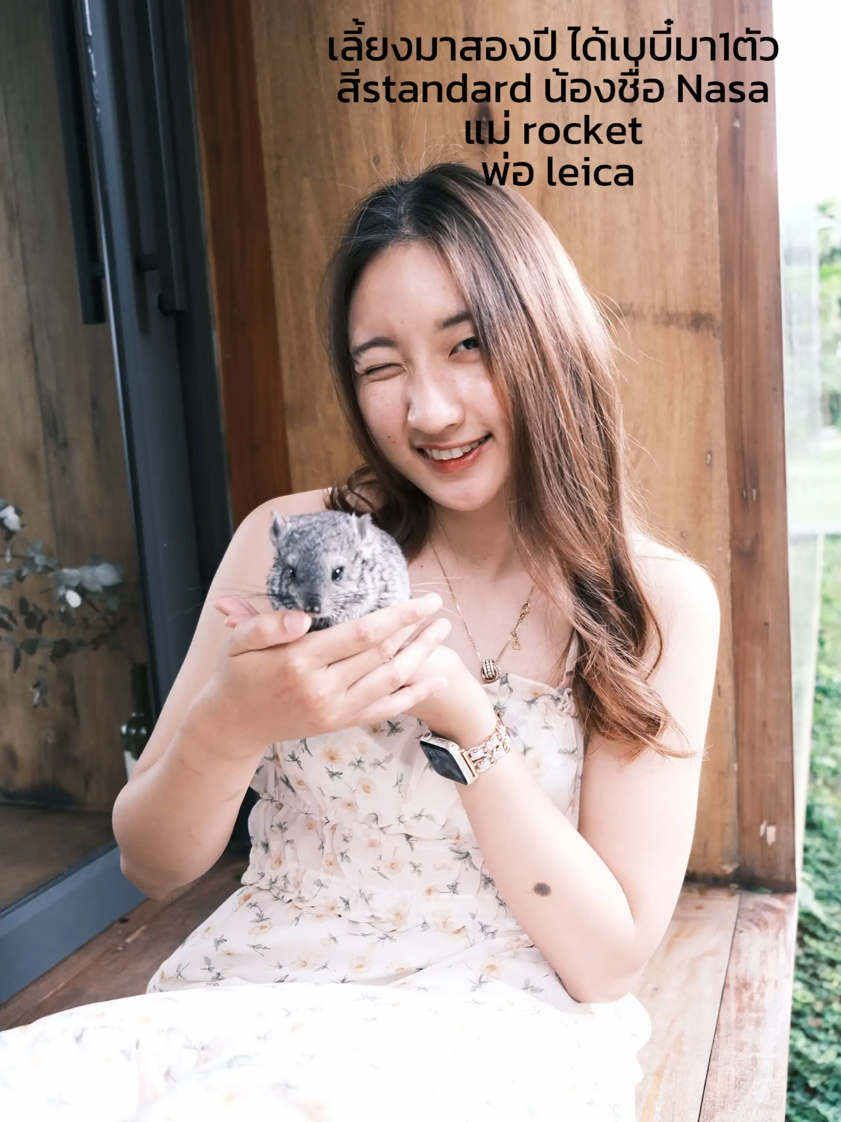 รีวิวการเลี้ยงชินชิลล่า ฉบับคนเลี้ยงมาเข้าสู่ปีที่4 💖 แกลเลอรีที่โพสต์โดย Janeprawee Lemon8