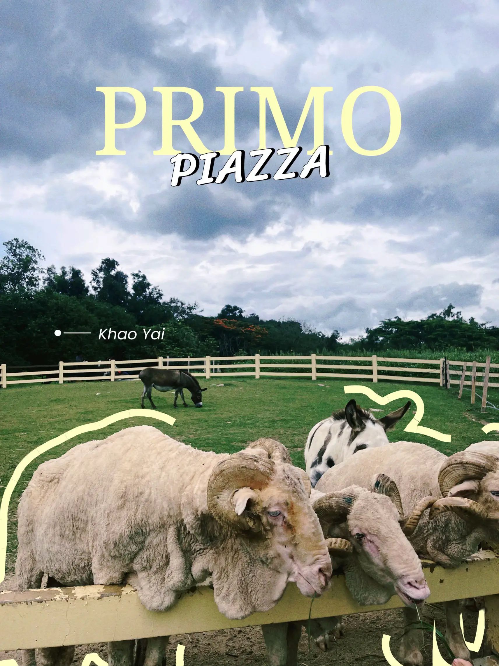 Primo piazza : อ.ปากช่อง จ.นครราชสีมา | แกลเลอรีที่โพสต์โดย gg :) | Lemon8
