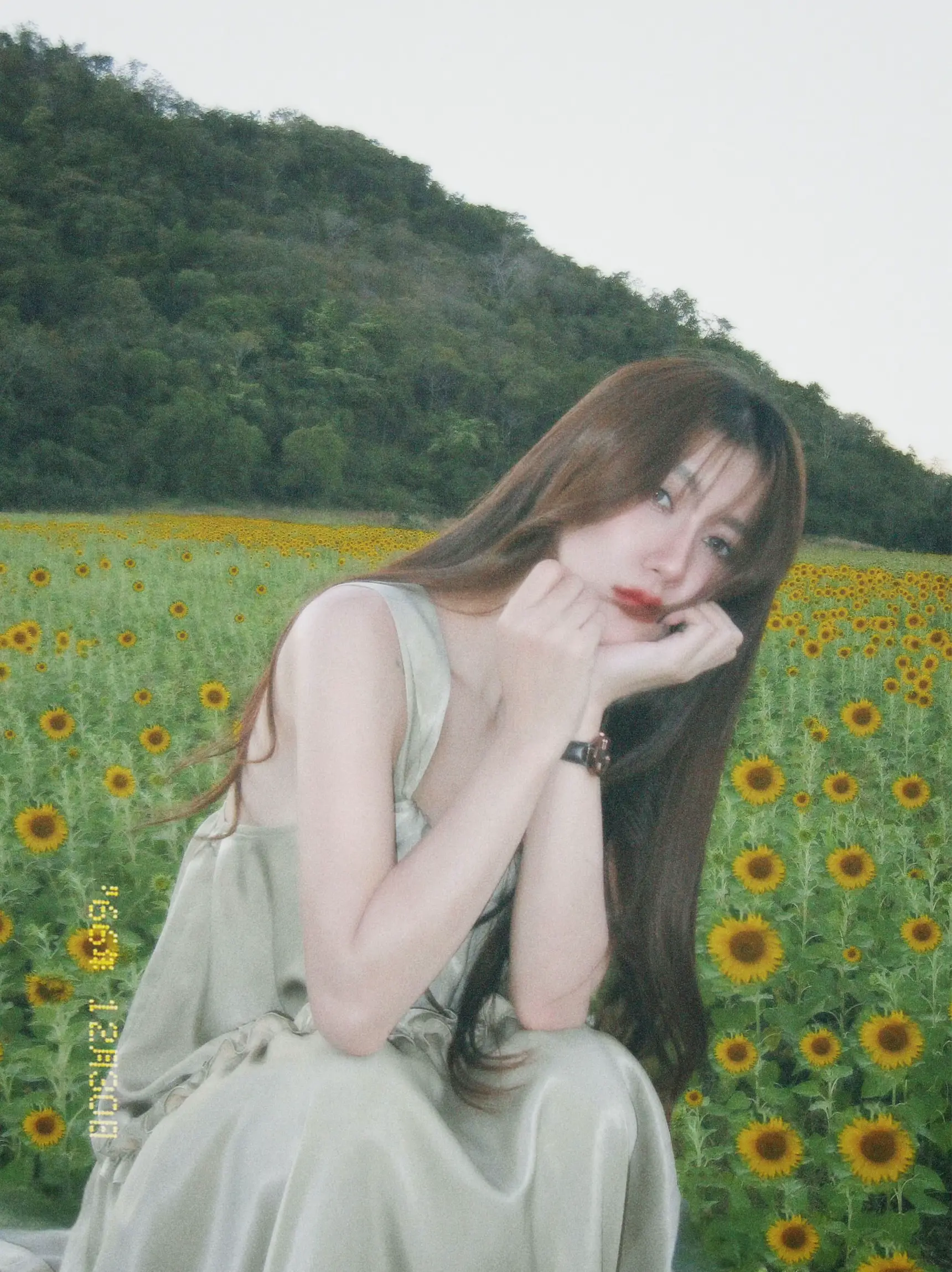 SUNFLOWER 🌻 | แกลเลอรีที่โพสต์โดย J'utha JT | Lemon8