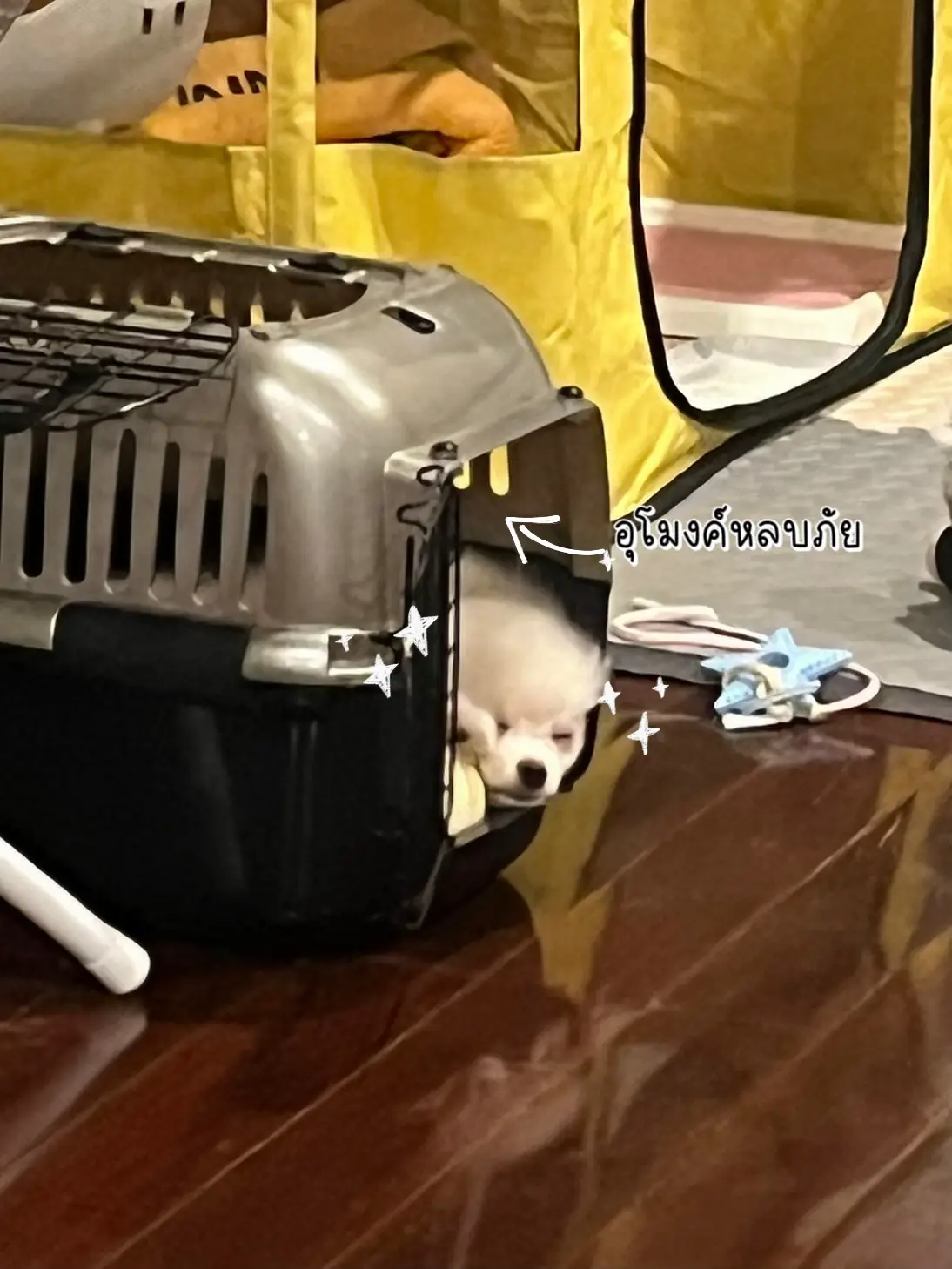 บ้านปอม เมื่อต้องอยู่คนเดียว | แกลเลอรีที่โพสต์โดย Moobin Cuddle | Lemon8