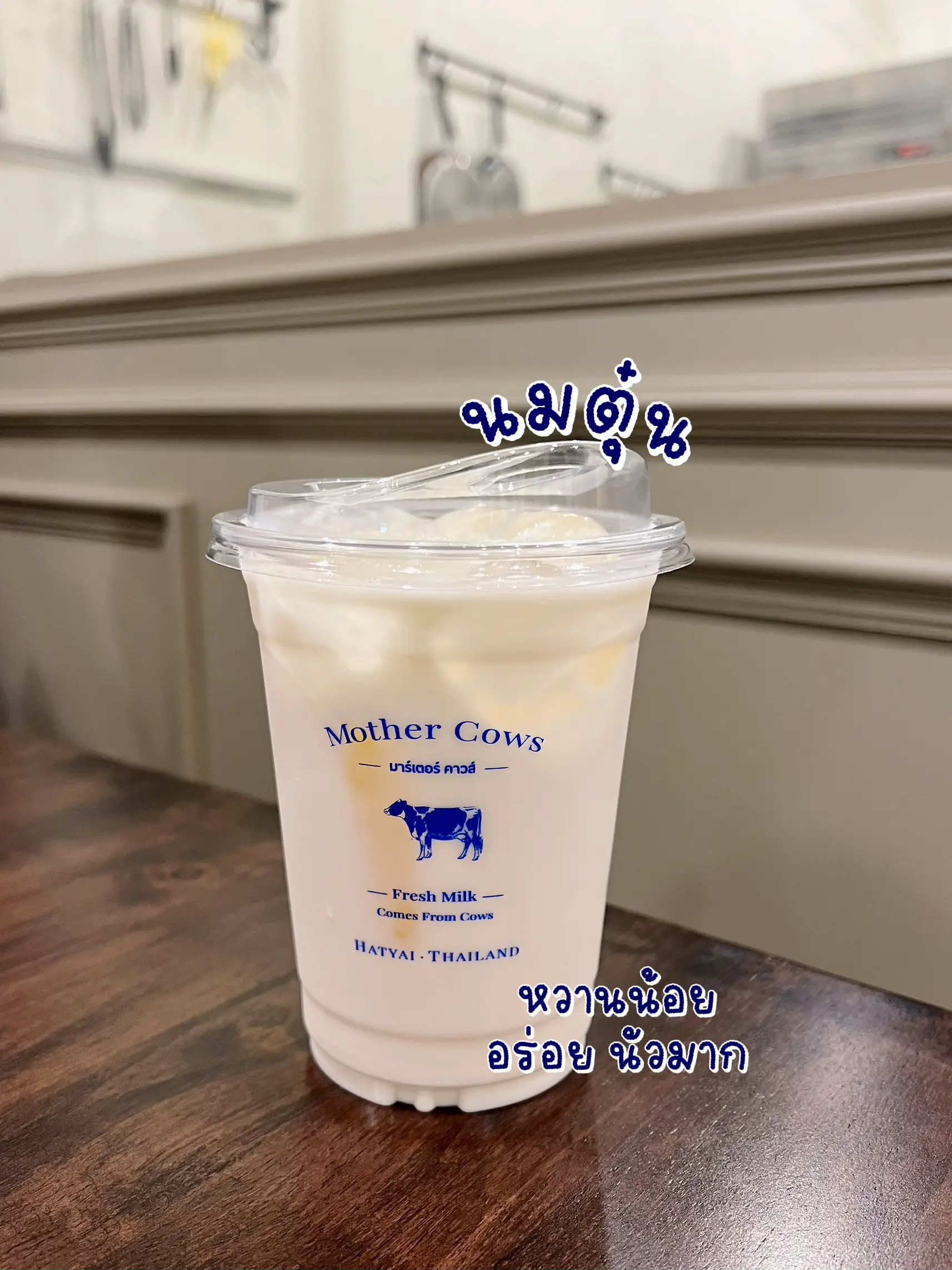Mother Cows 🐄 ร้านดังจากหาดใหญ่ บุกบรรทัดทอง 💥 | แกลเลอรีที่โพสต์โดย ...