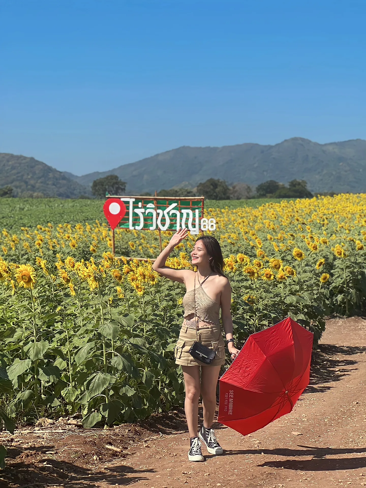 ทุ่งดอกทานตะวัน#ไร่วิชาญ#ลพบุรี🌻🌻🌻 | แกลเลอรีที่โพสต์โดย naruemon t | Lemon8
