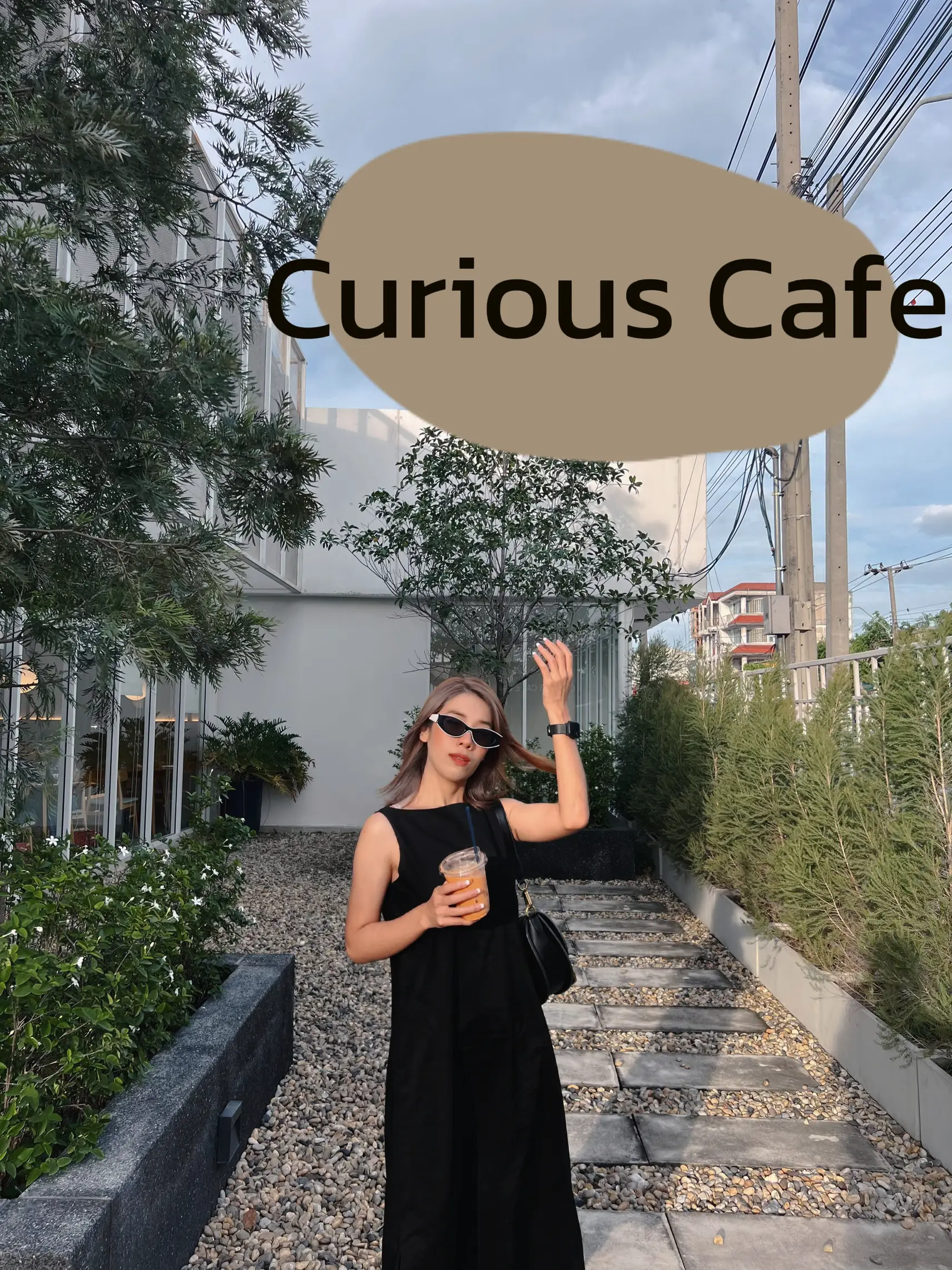 Curious Cafe | แกลเลอรีที่โพสต์โดย THITIRAT𝟑𝟔 ツ | Lemon8