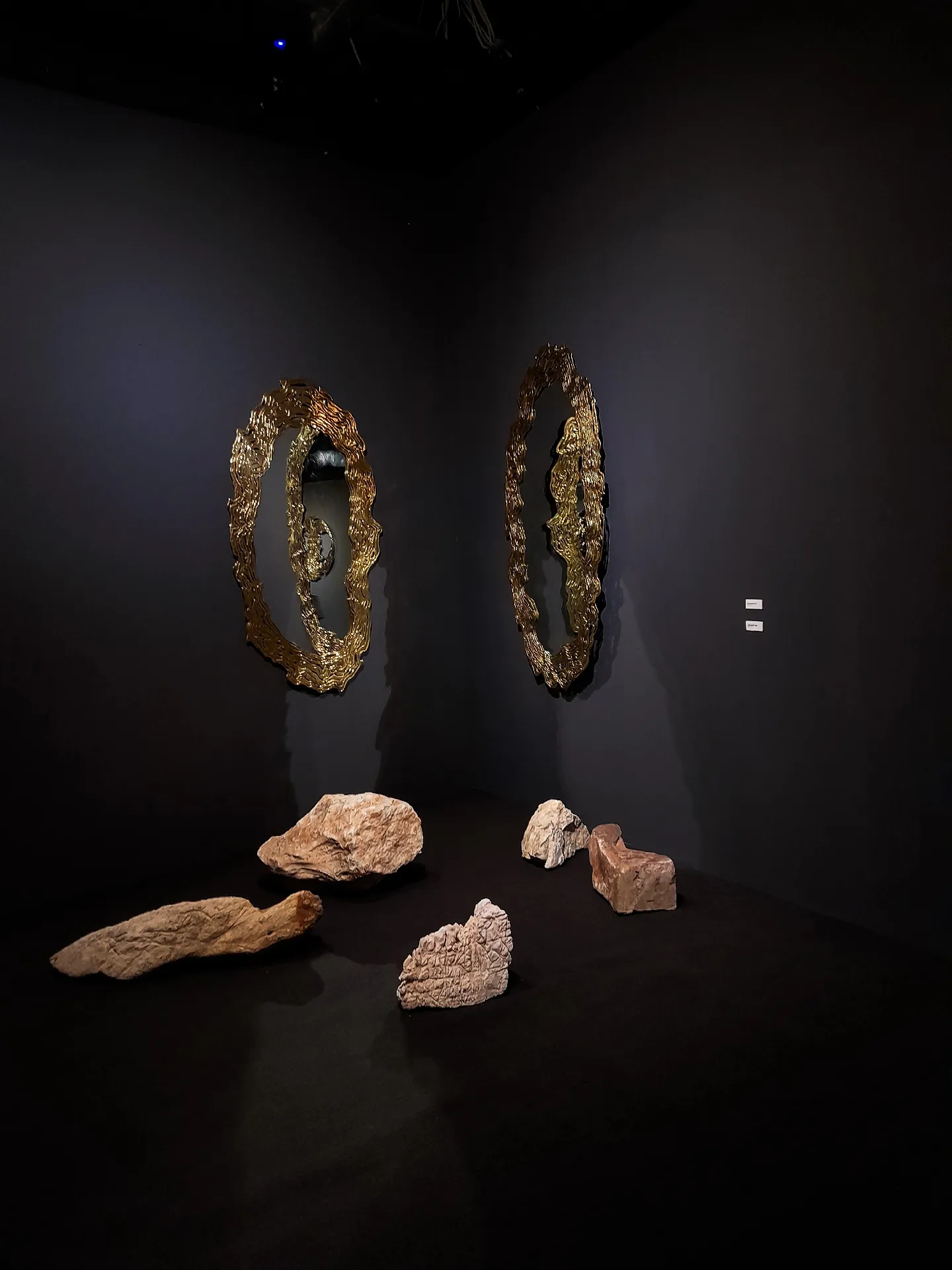 JOURNY OF THE ROCK 🪨 นิทรรศการที่เป็นมากกว่า หิน? | แกลเลอรีที่โพสต์โดย ...