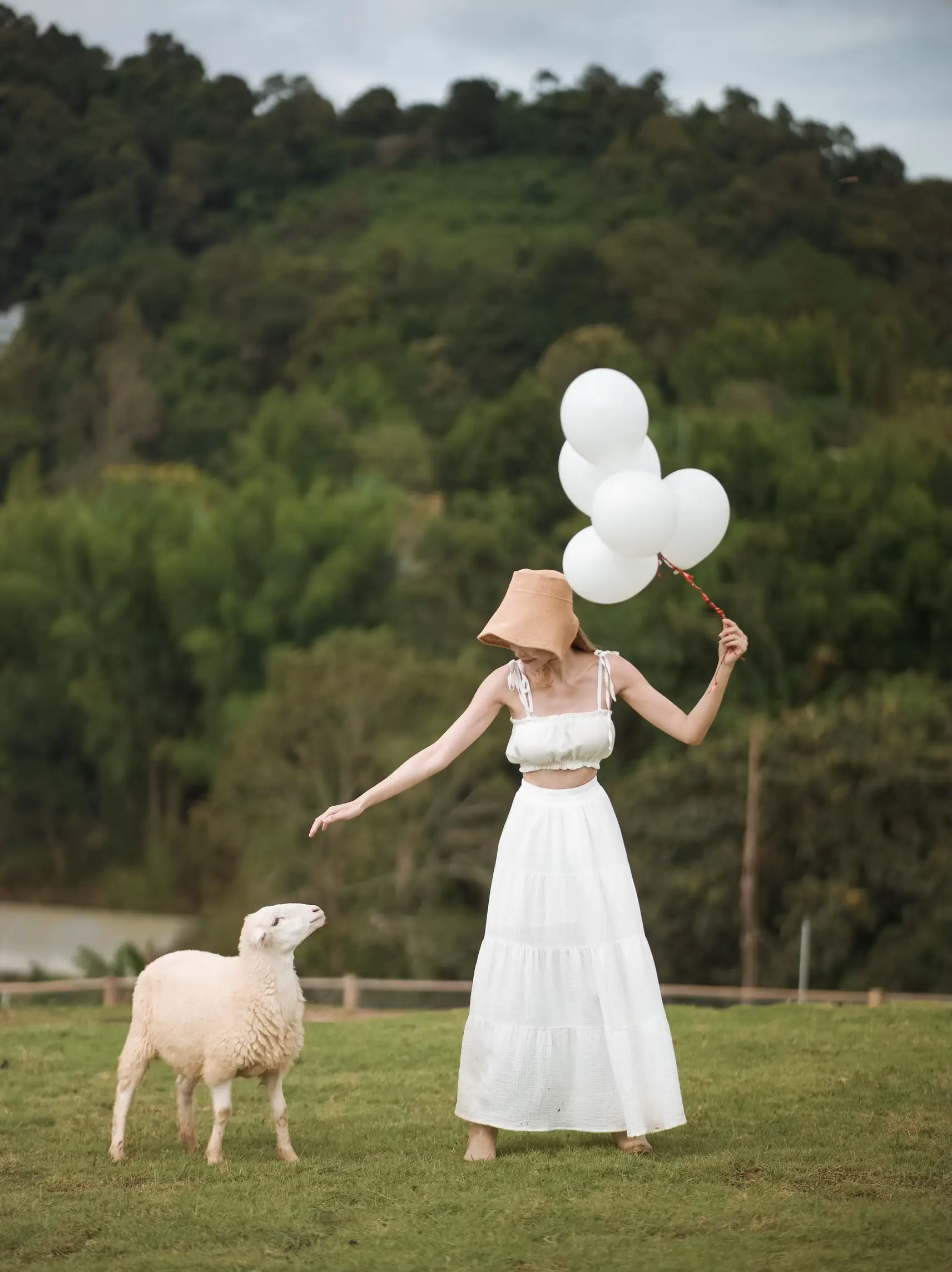 🐑วิ่งเล่นกับน้องแกะบนเนินเขา 𝗠𝗔𝗘𝗞𝗘𝗘 𝗦𝗛𝗘𝗘𝗣 𝗛𝗢𝗨𝗦𝗘 | แกลเลอรีที่โพสต์โดย May’s Journey | Lemon8