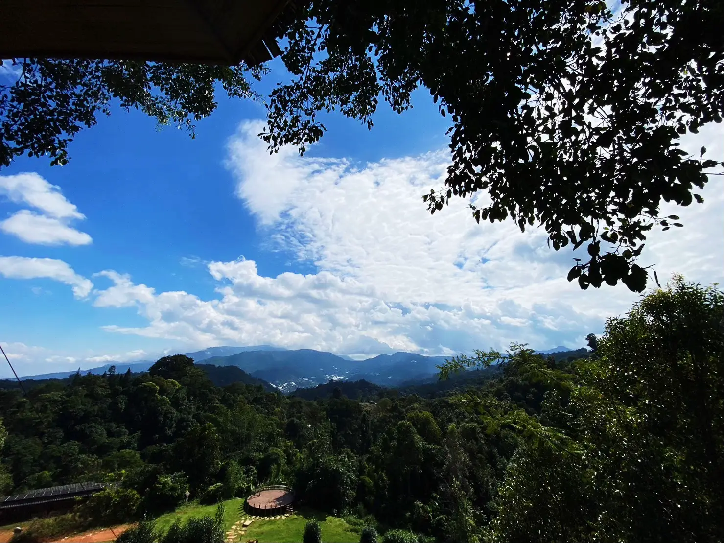 เก็บผัก จิบกาแฟ ดูไก่ฝรั่ง | แกลเลอรีที่โพสต์โดย WANTIYA | Lemon8