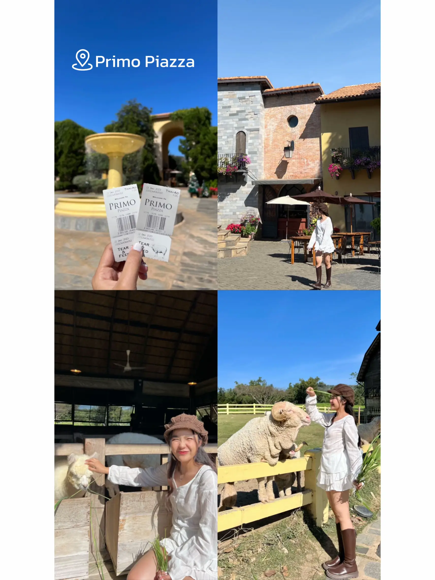 KHAOYAI 3 วัน 2 คืน🏞️ | แกลเลอรีที่โพสต์โดย * dear | Lemon8